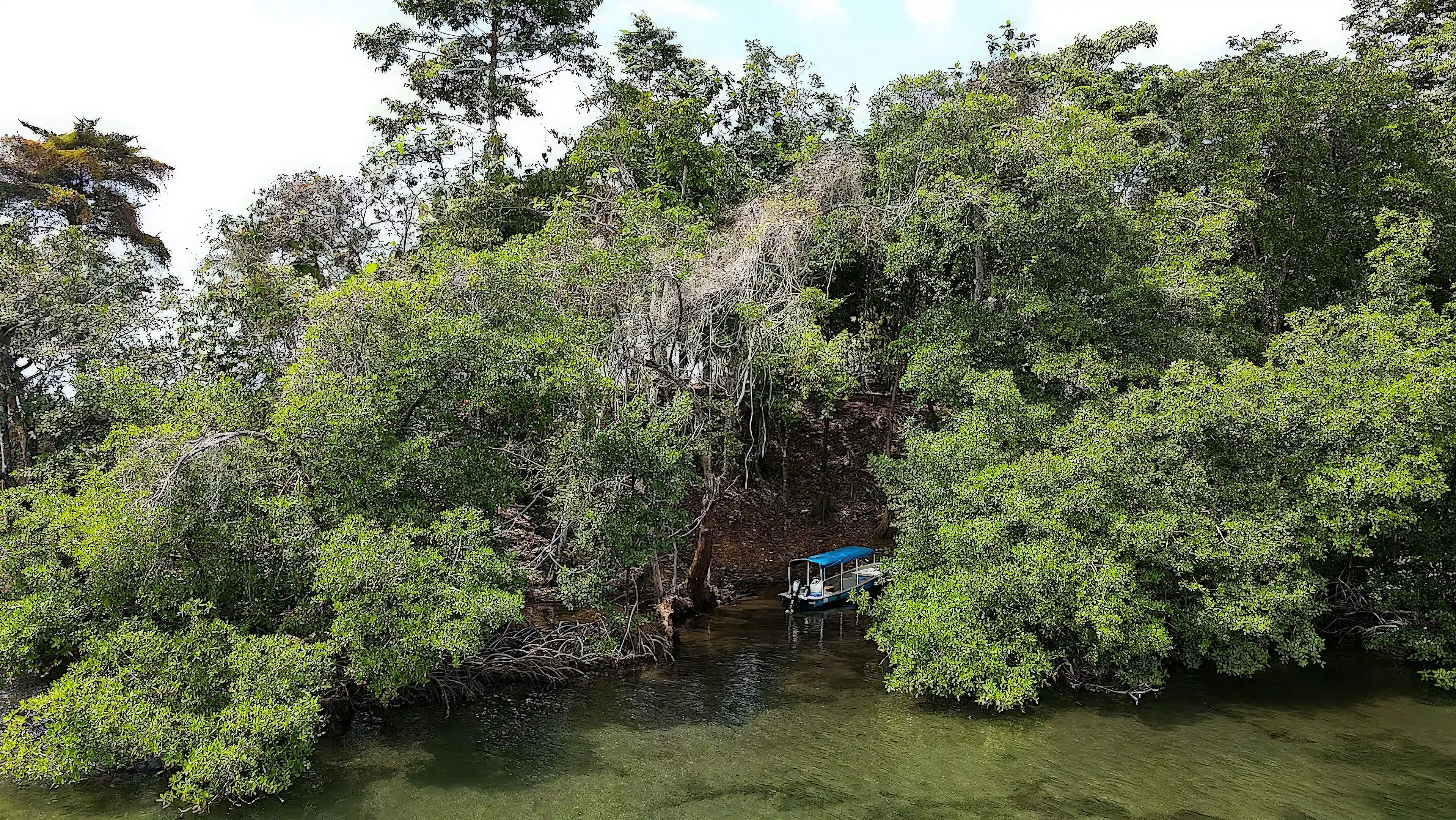 Peninsula for Sale in Popa Island, Bocas Del Toro, Panama