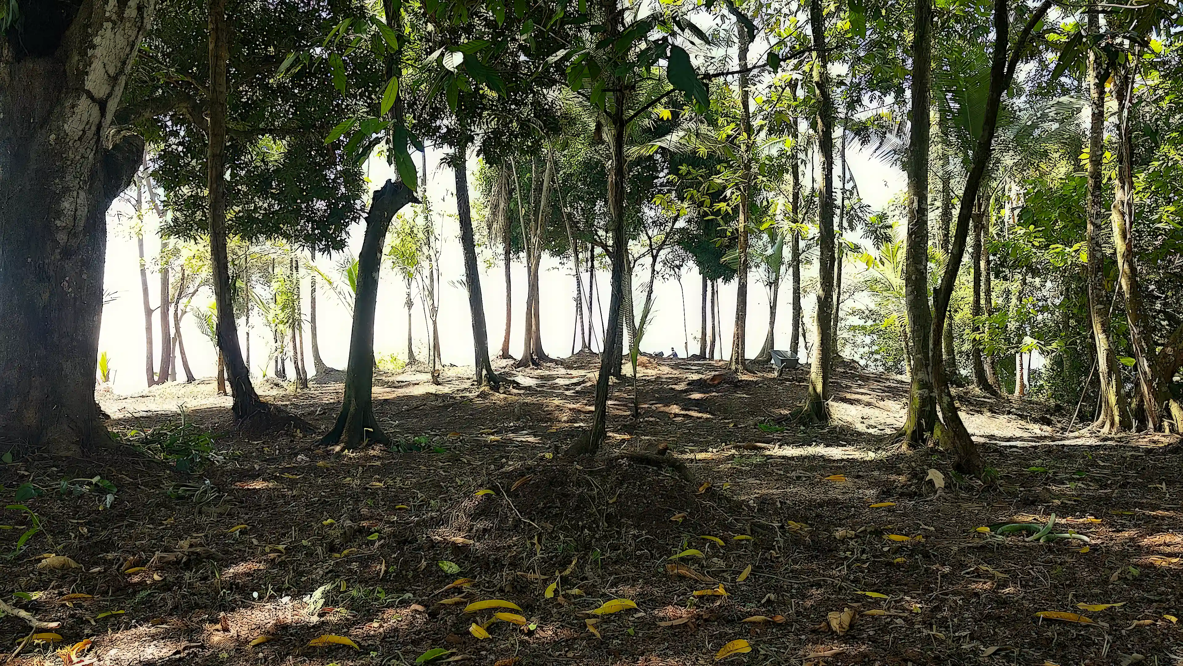 Peninsula for Sale in Popa Island, Bocas Del Toro, Panama