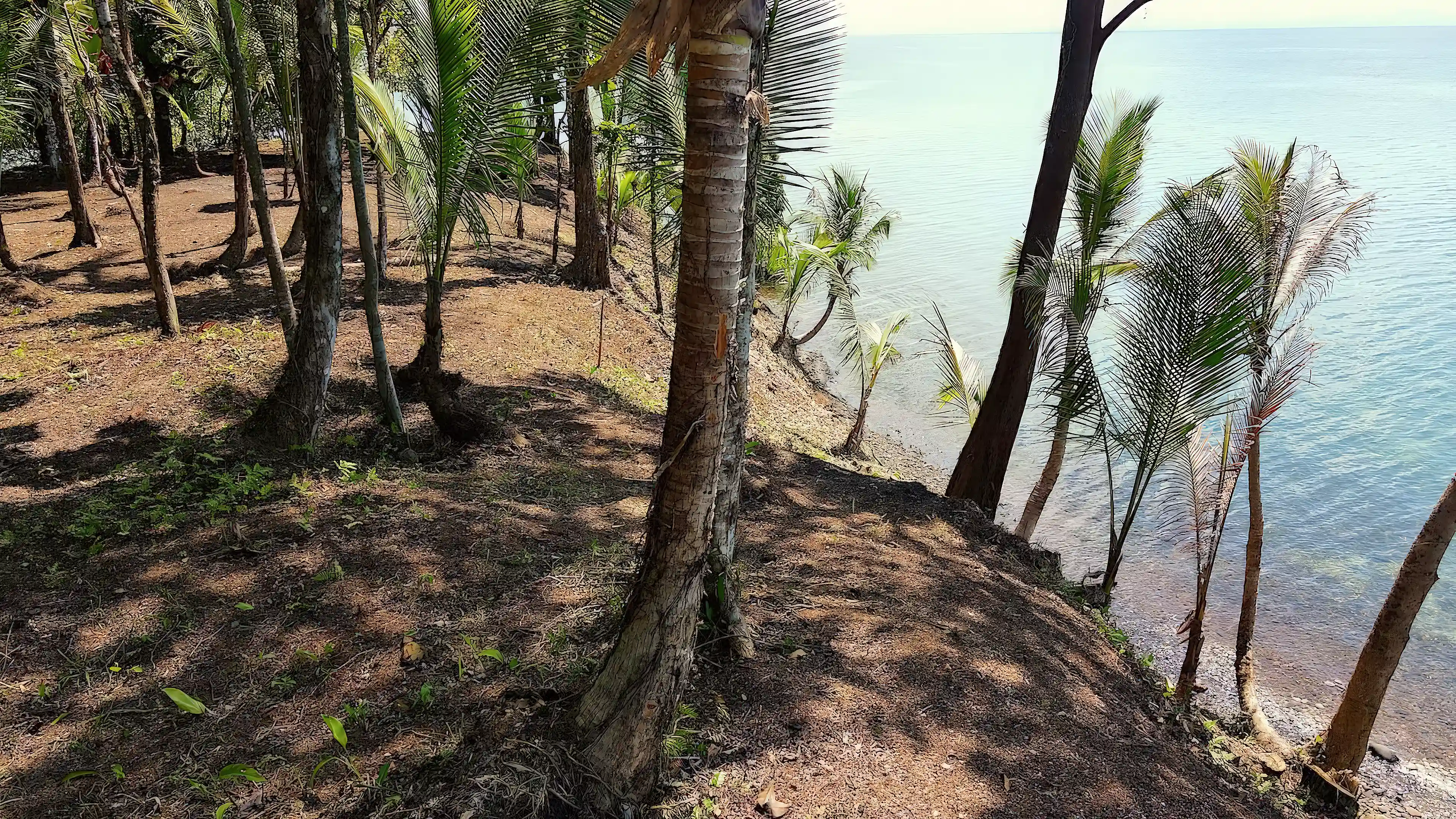 Peninsula for Sale in Popa Island, Bocas Del Toro, Panama