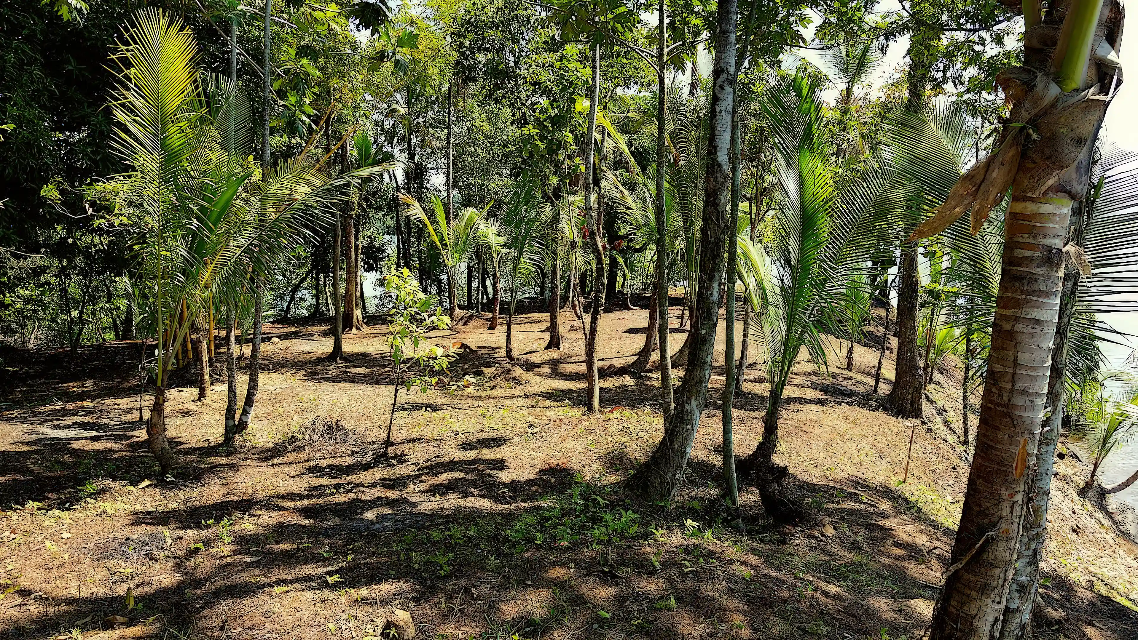 Peninsula for Sale in Popa Island, Bocas Del Toro, Panama