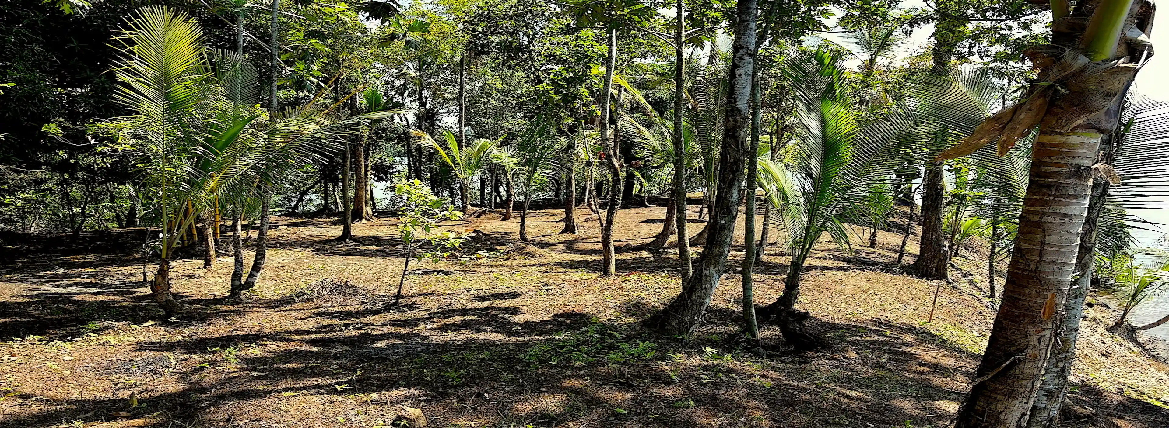 Caribbean Peninsula for Sale in Popa Island, Bocas Del Toro, Panama