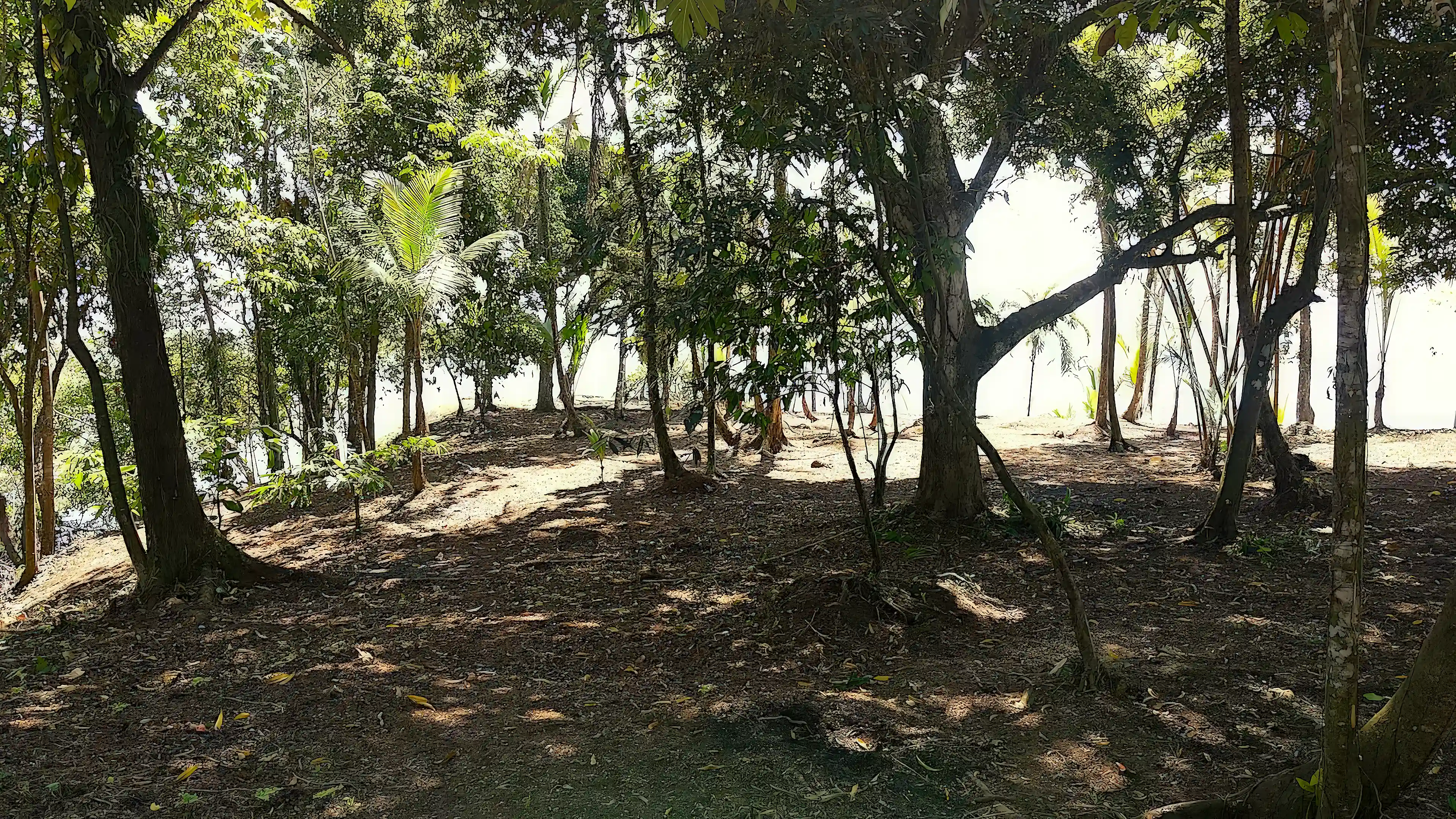 Peninsula for Sale in Popa Island, Bocas Del Toro, Panama