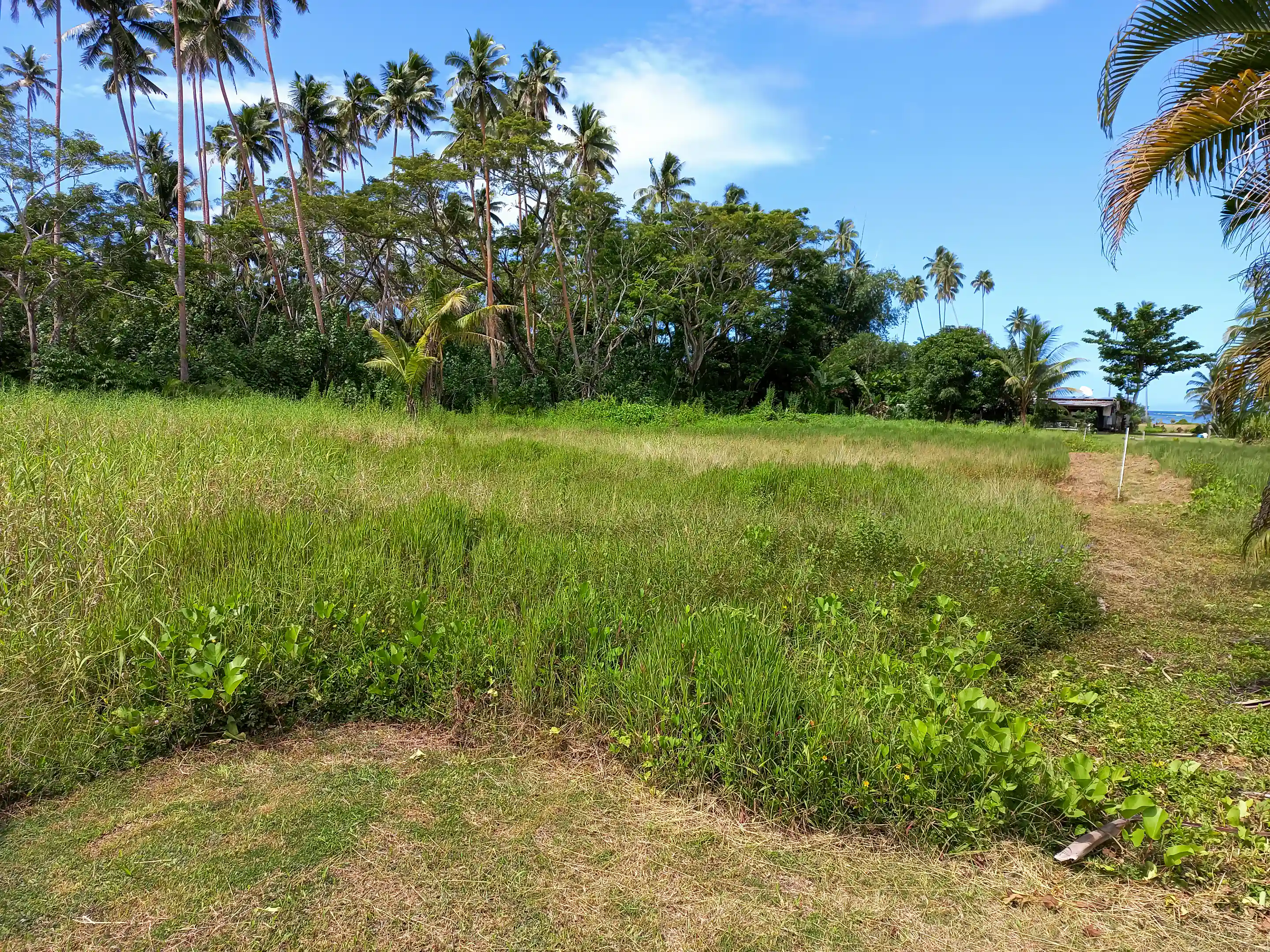 Beach Lots for Sale in Hibiscus Hwy, Savusavu, Cakaudrove, Fiji