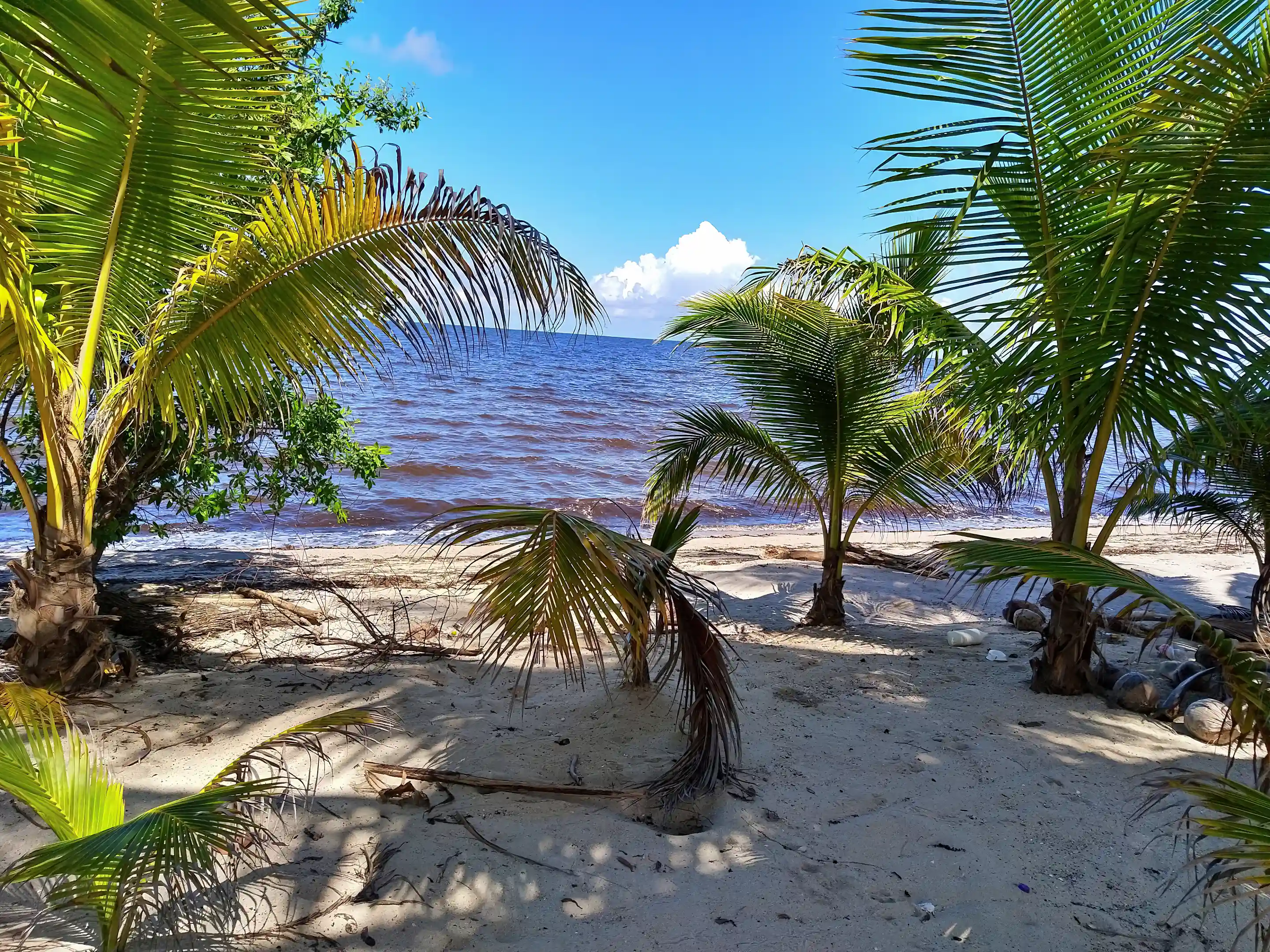 Seafront for Sale in Hopkins Village, Stann Creek District, Belize