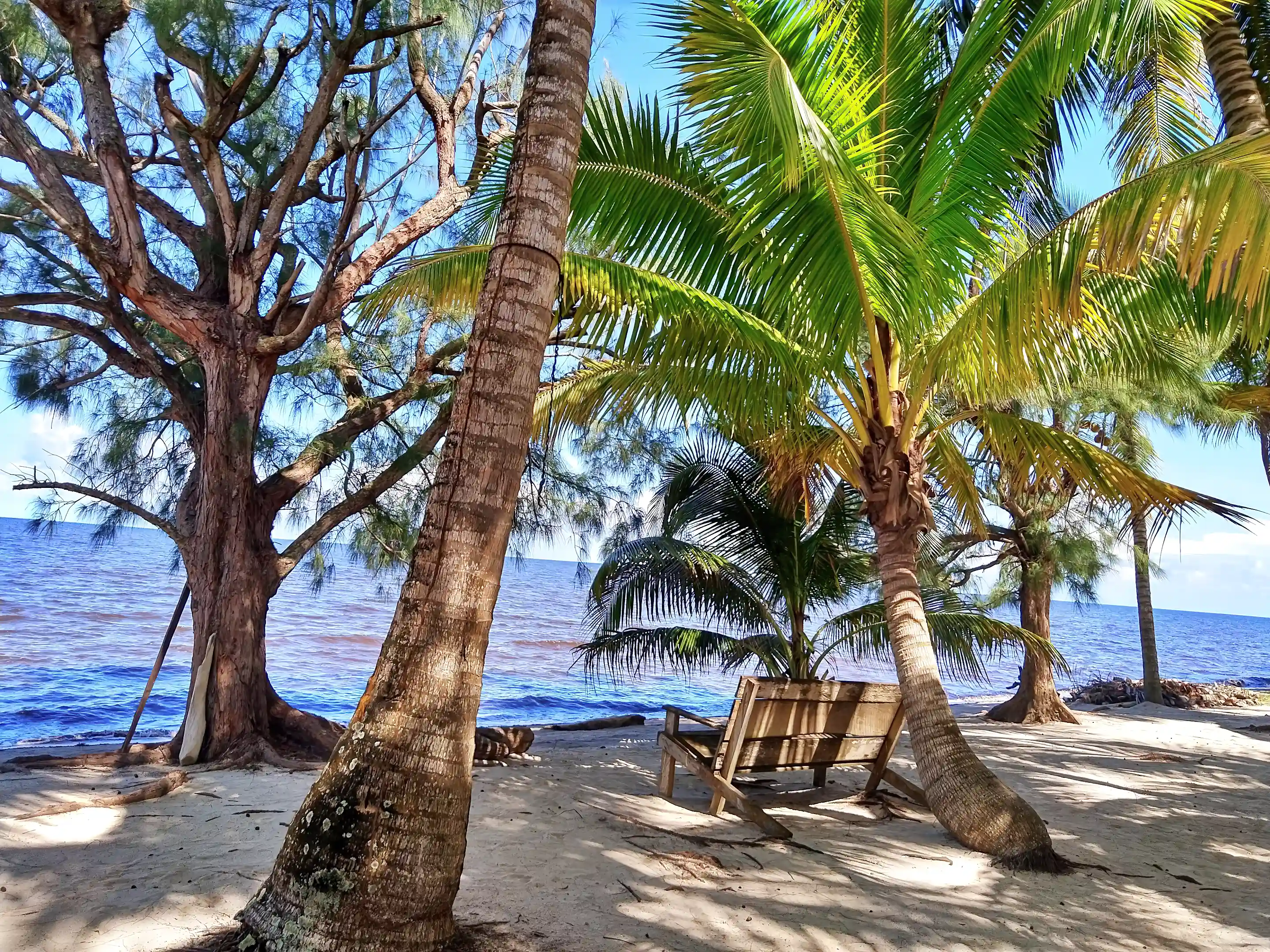 Seafront for Sale in Hopkins Village, Stann Creek District, Belize
