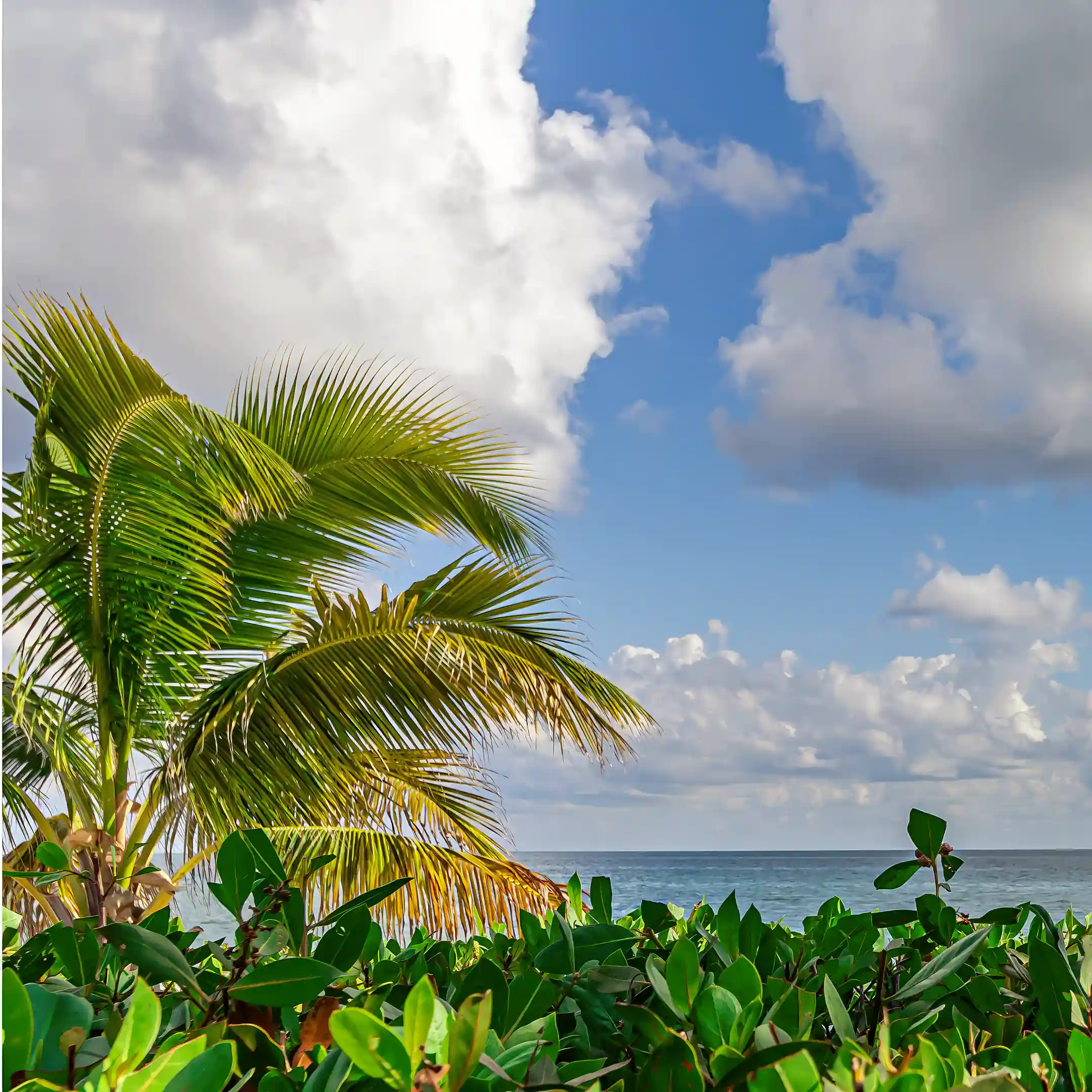 Seafront for Sale in Hopkins Village, Stann Creek District, Belize