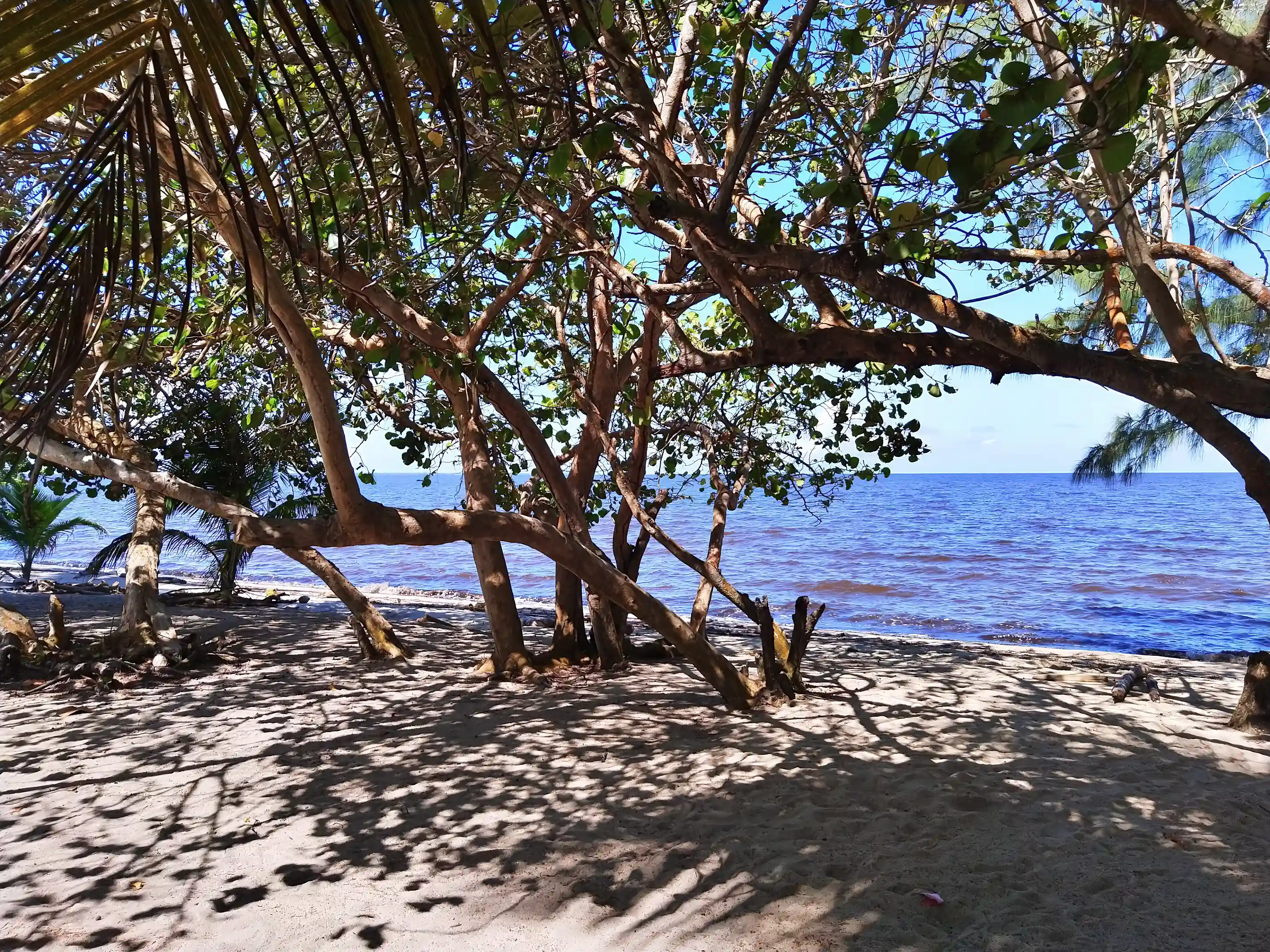 Seafront for Sale in Hopkins Village, Stann Creek District, Belize