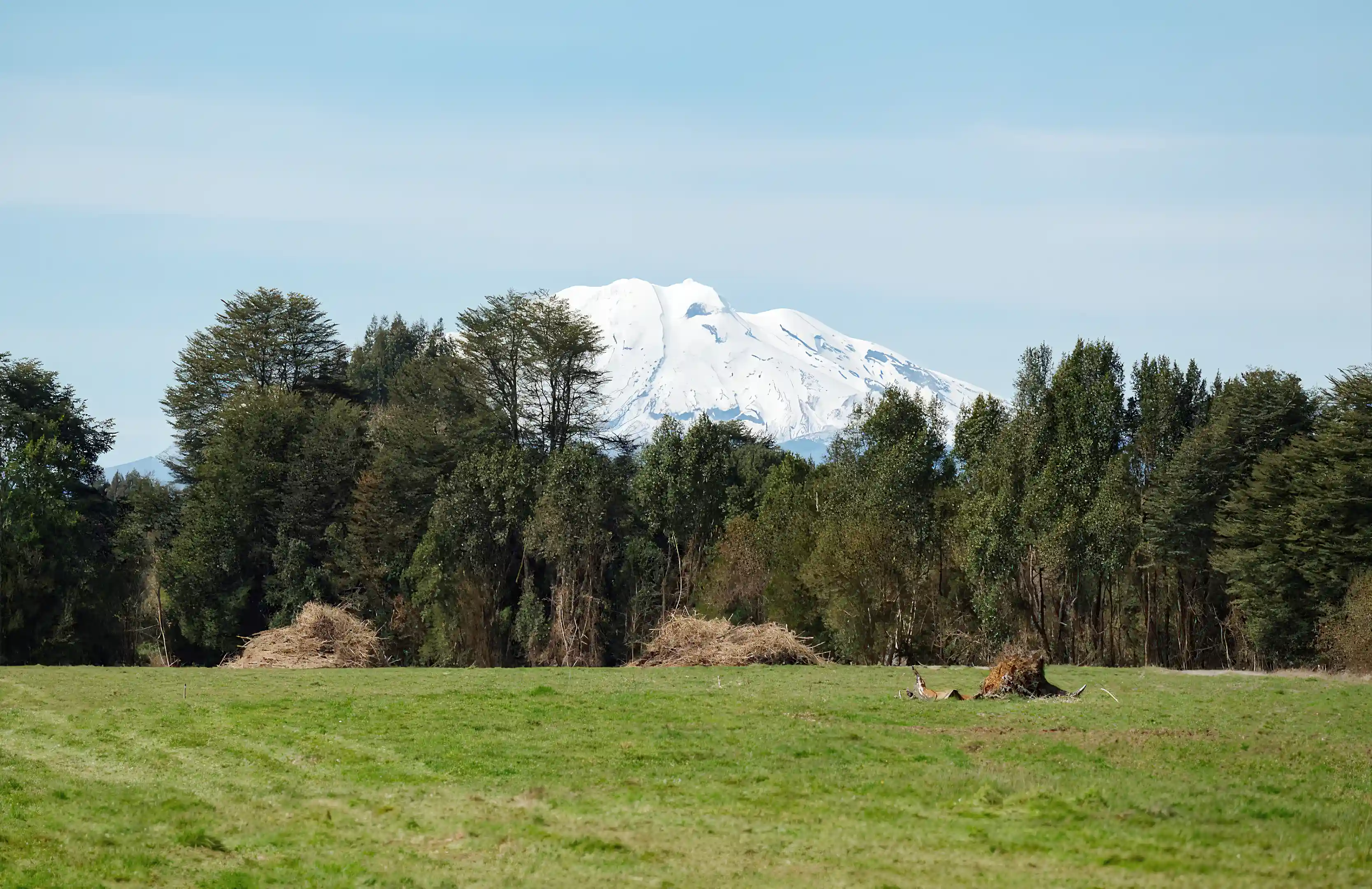Farmland for Sale in Patagonia 555, Braunau, Puerto Varas Region De Los ...