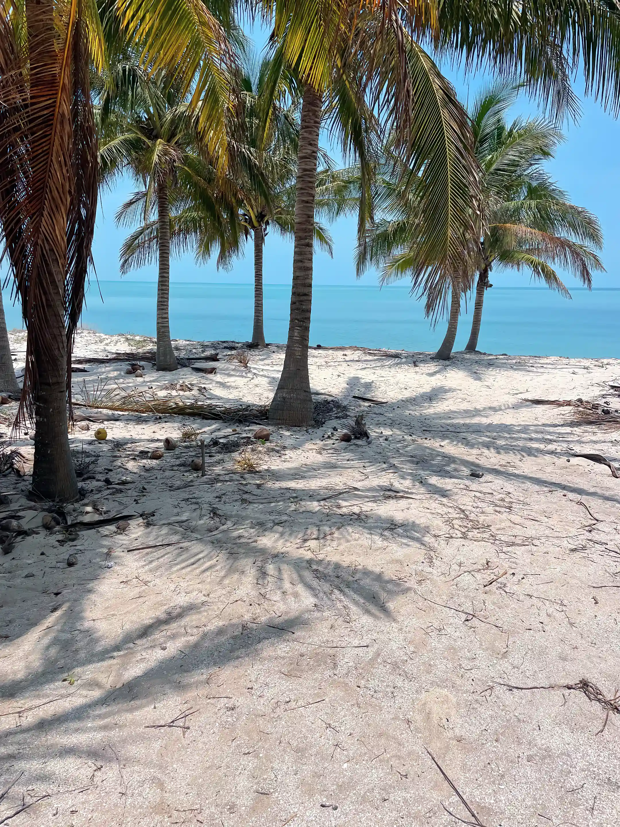 Beachfront Lots for Sale in Highway 180, Municipo De Champoton ...