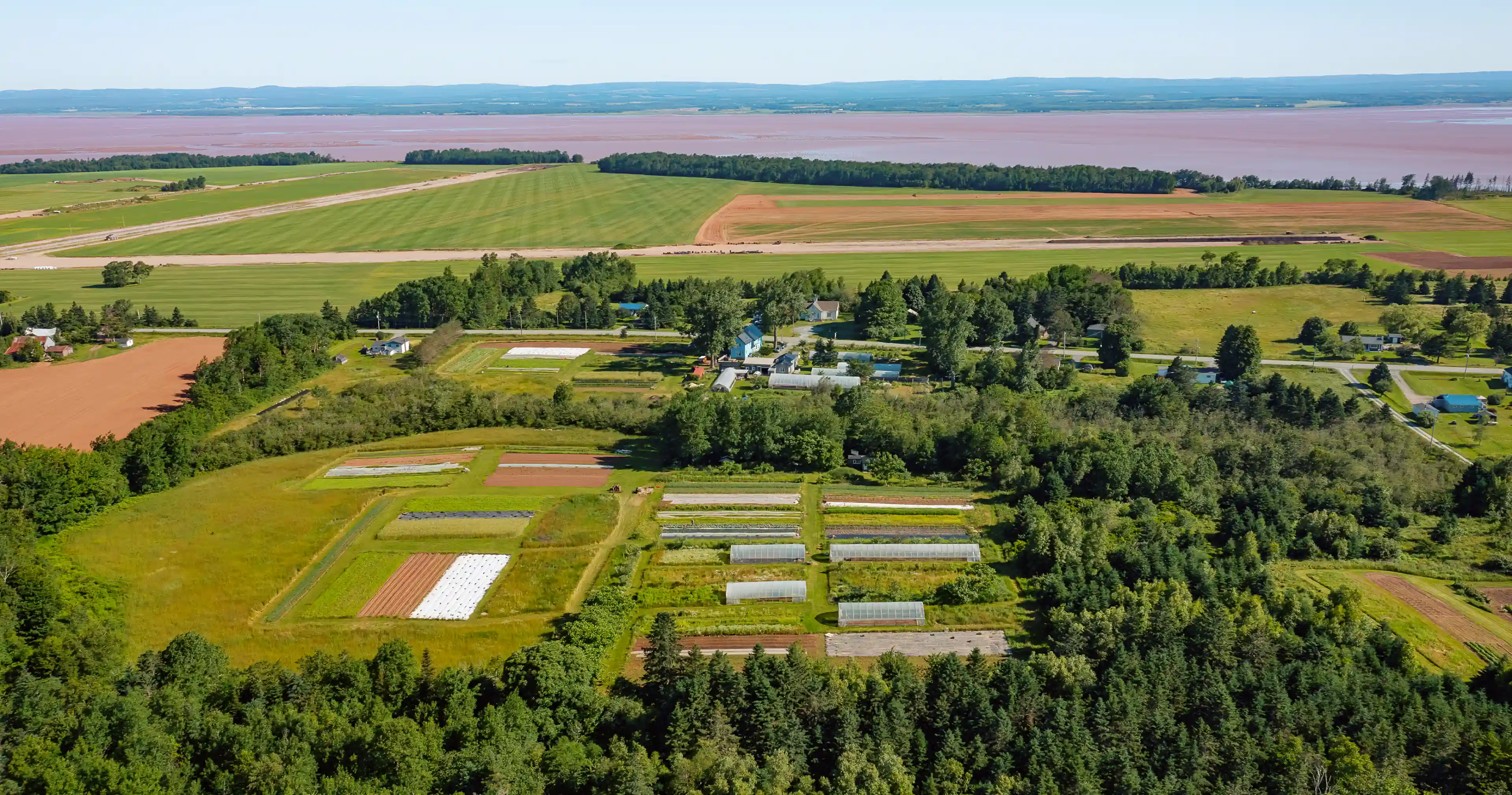 Organic Farm for Sale in 8244 Highway 215, Selma, Nova Scotia, Canada