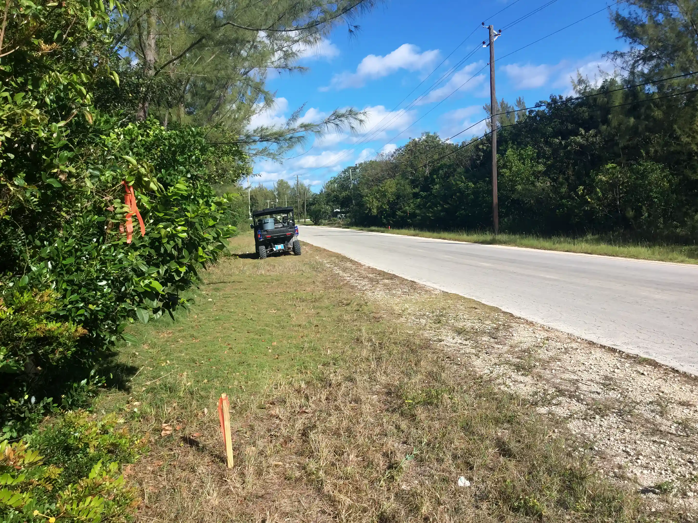 Land for Sale in Airport Road, Bimini, Bahamas - Viviun
