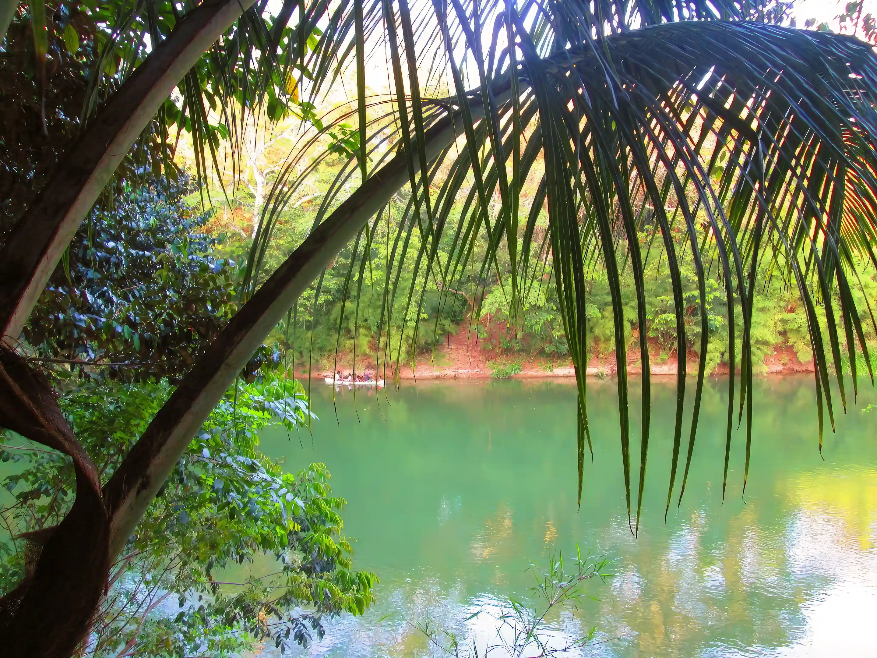 Riverfront Jungle Lodge/Resort for Sale in Young Gal Rd, Teakettle ...