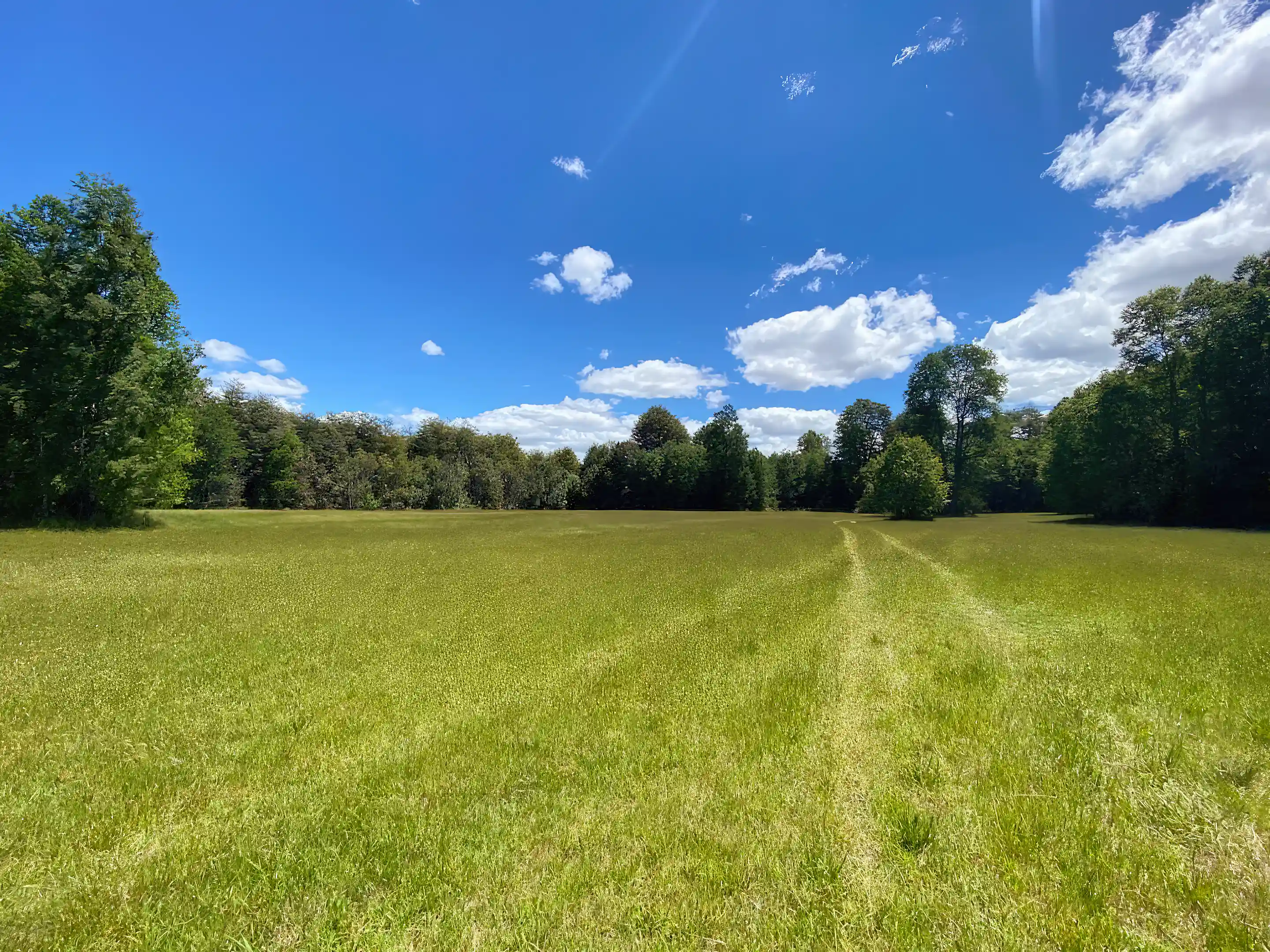 Prime Farmland for Sale in Panguipulli, Los Rios, Chile