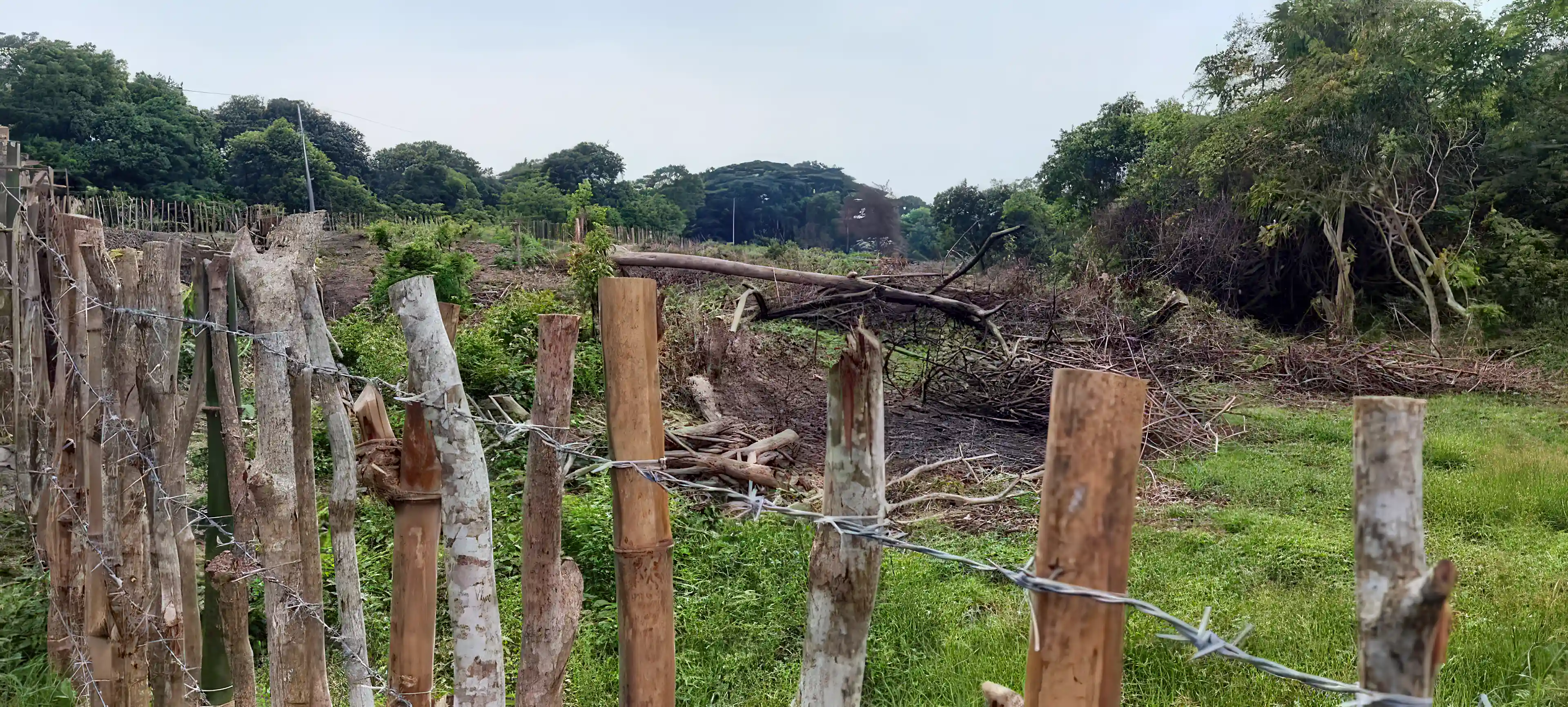 Vacant Lot for Sale in Sitio Tek-Tek Sindol San Felipe, Zambales ...