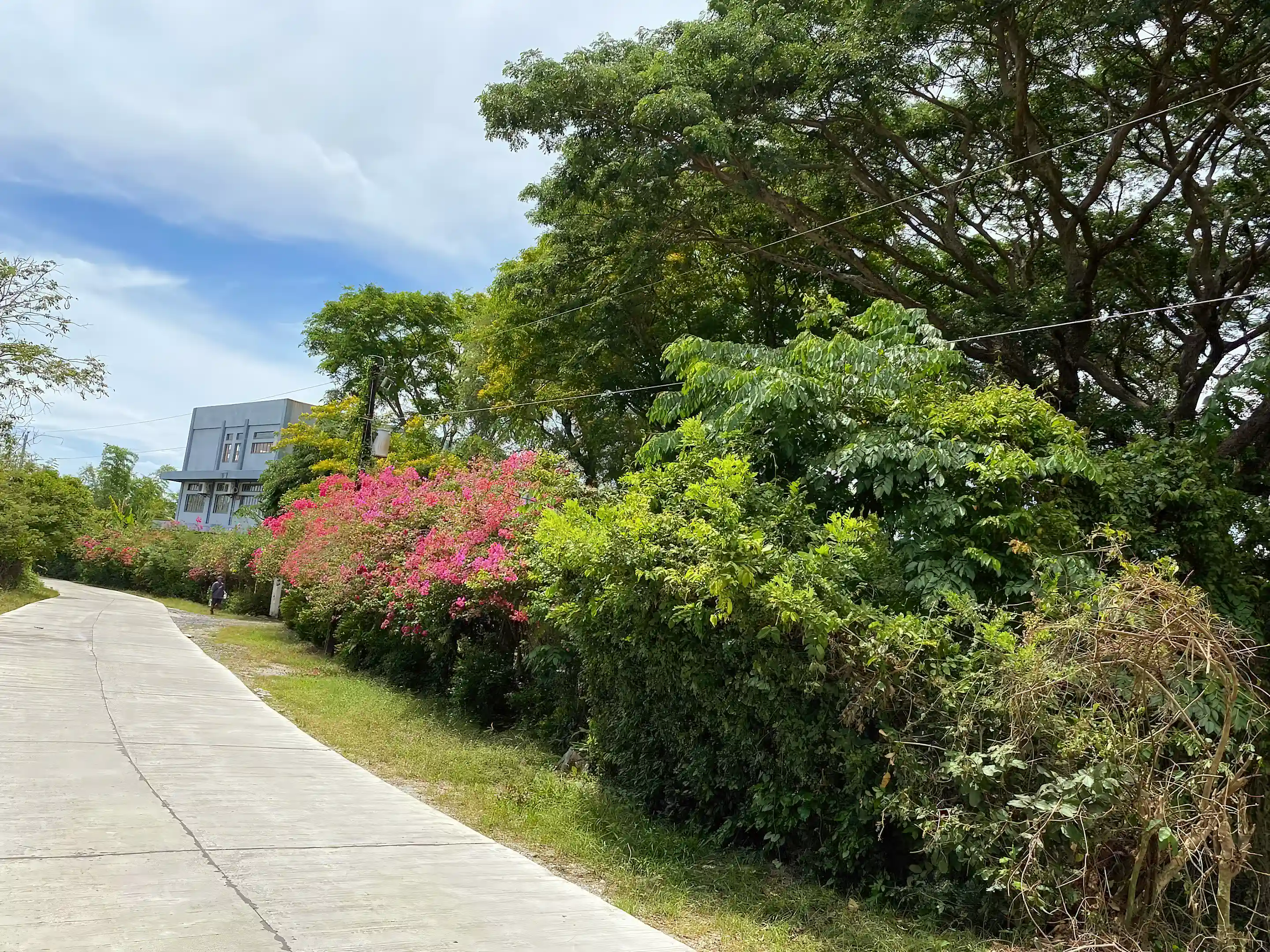 Vacant Lot for Sale in Sitio Tek-Tek Sindol San Felipe, Zambales ...