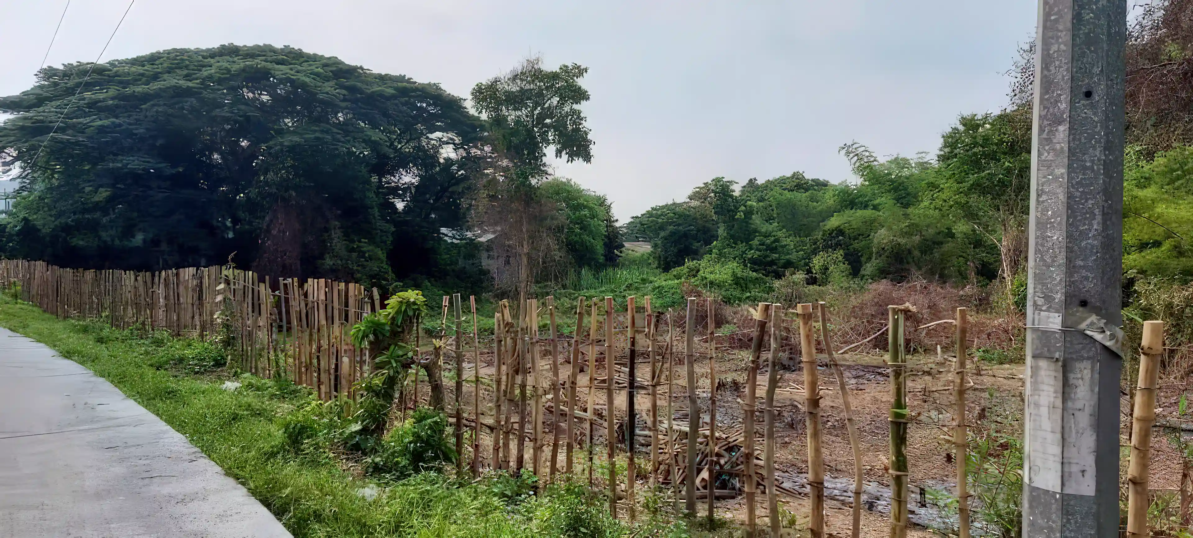 Vacant Lot for Sale in Sitio Tek-Tek Sindol San Felipe, Zambales ...