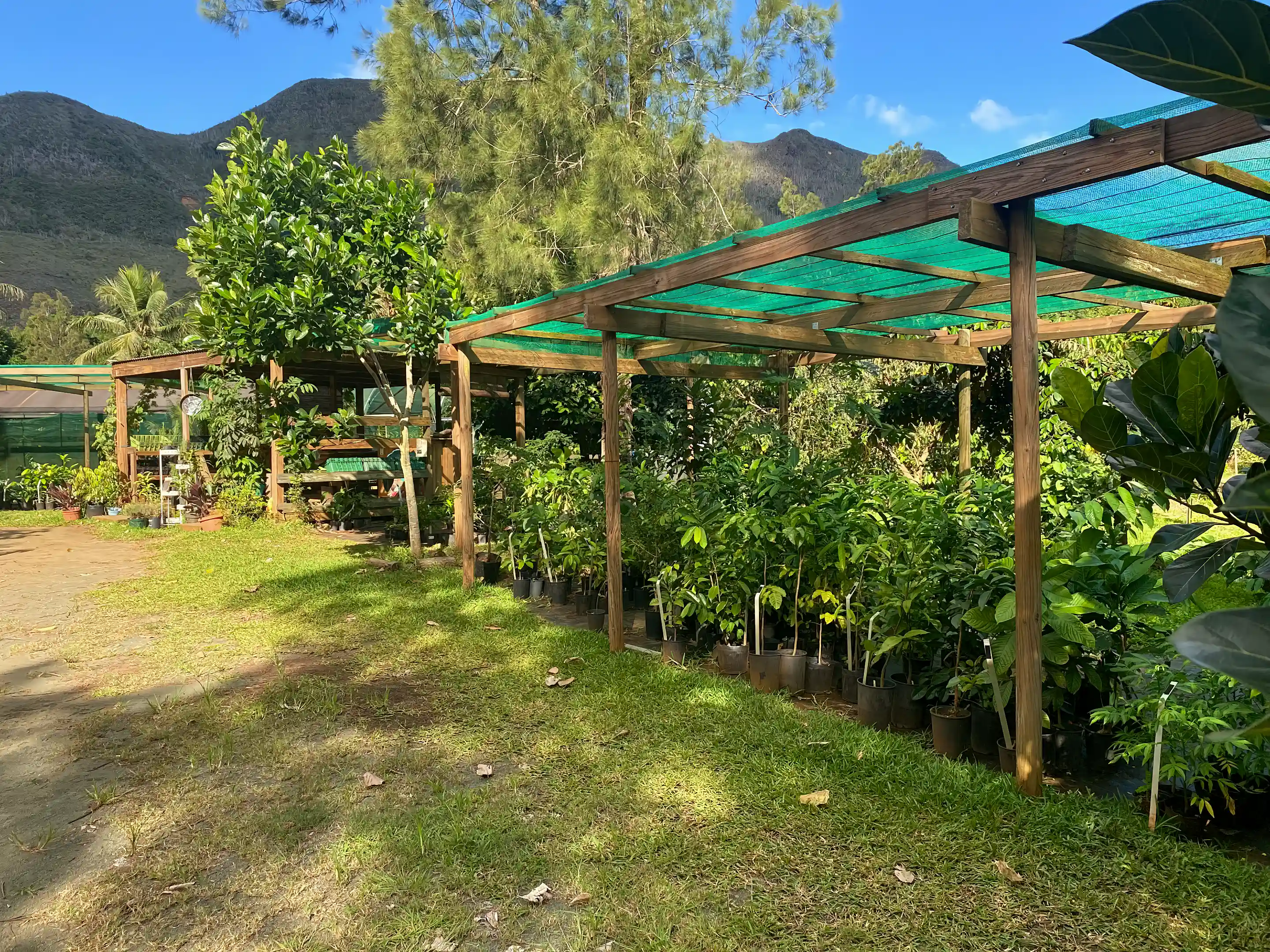 Fruit Farm for Sale in Route De La Montagne Des Sources, Mont-Dore ...