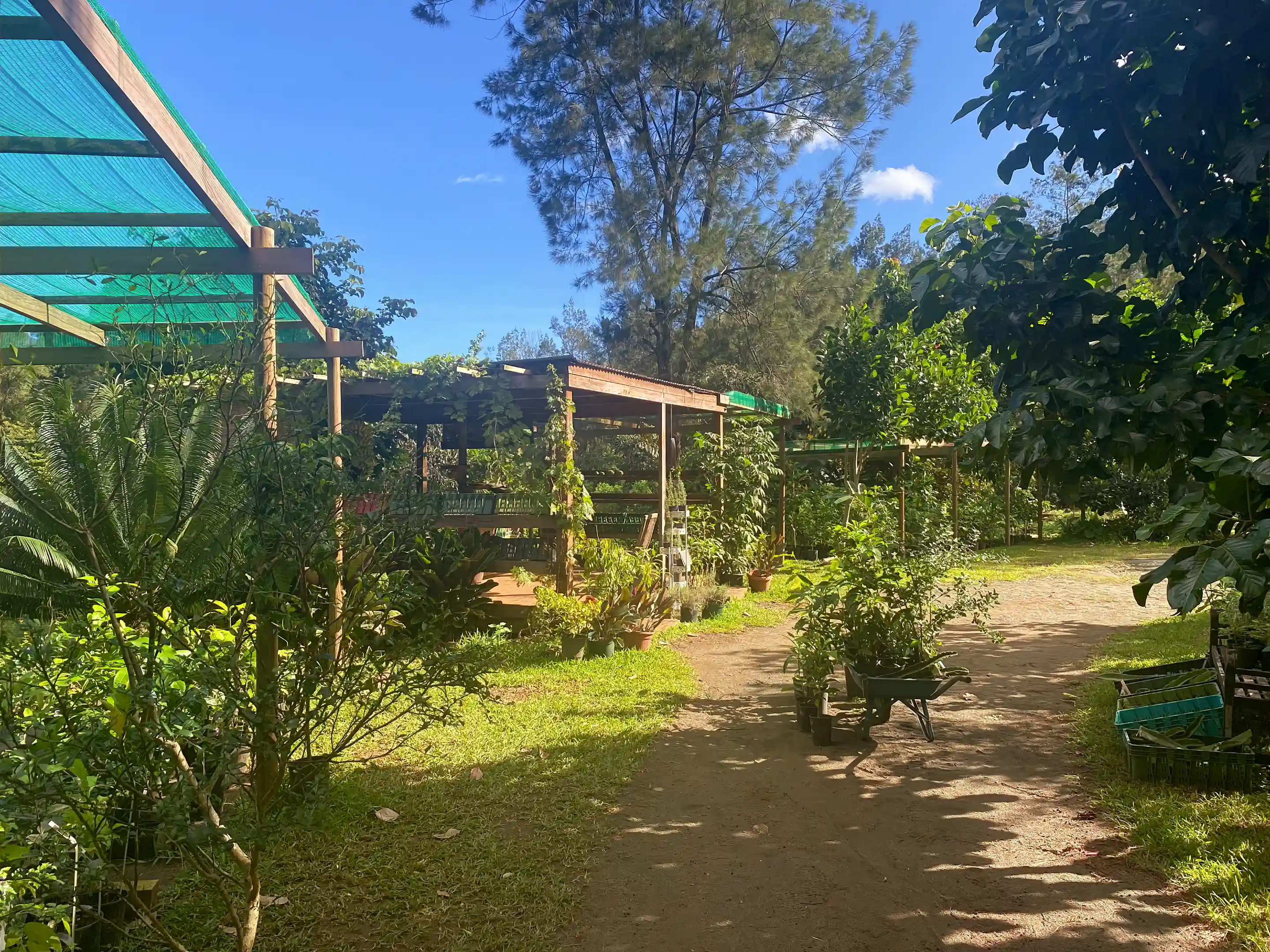 Fruit Farm for Sale in Route De La Montagne Des Sources, Mont-Dore ...