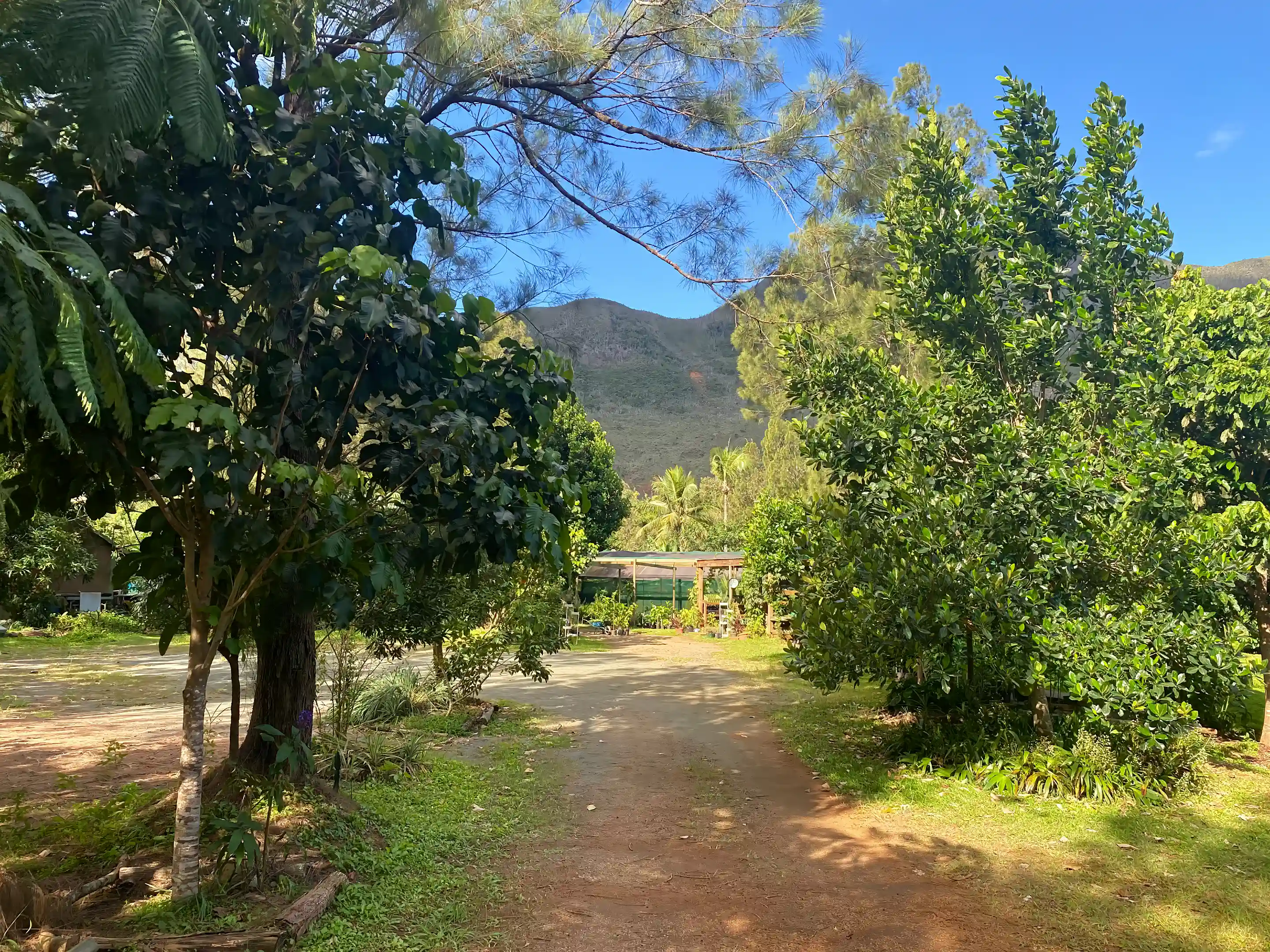 Fruit Farm for Sale in Route De La Montagne Des Sources, Mont-Dore ...