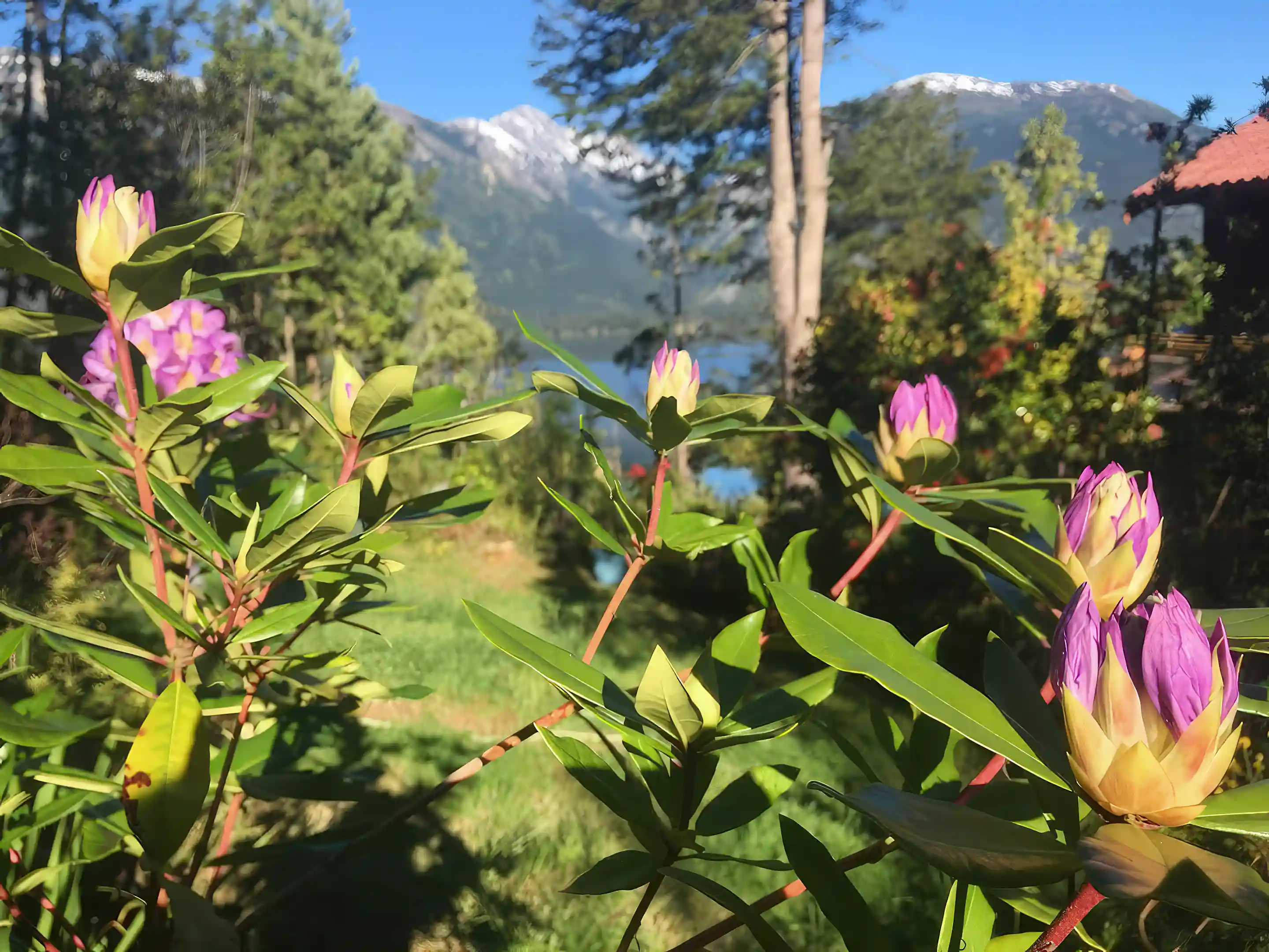 Private Island for Sale in Las Rocas Lake, Cochamo, Puelo Valley ...