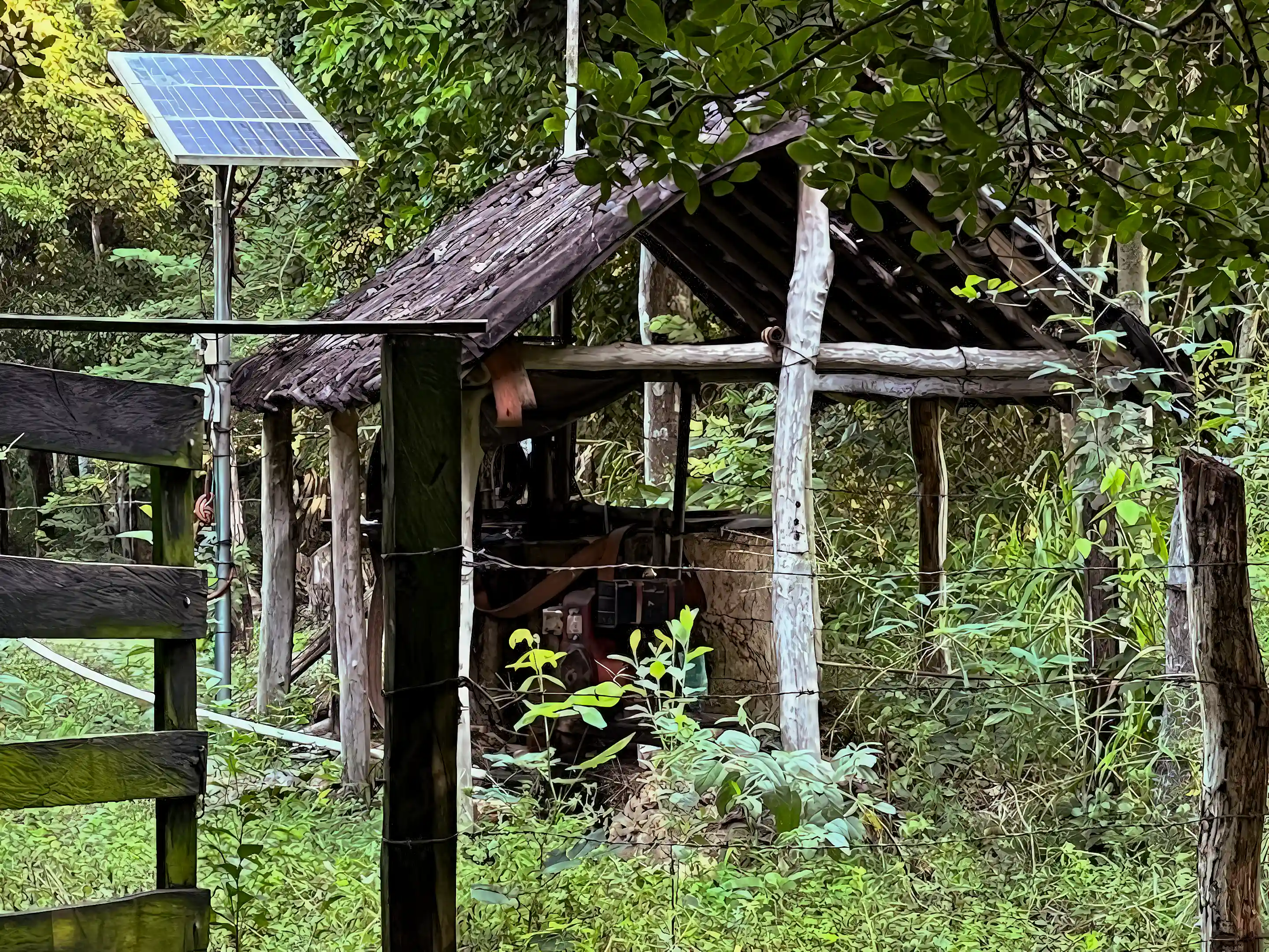 Off-Grid Homestead for Sale in Tekom, Valladolid, Yucatan, Mexico