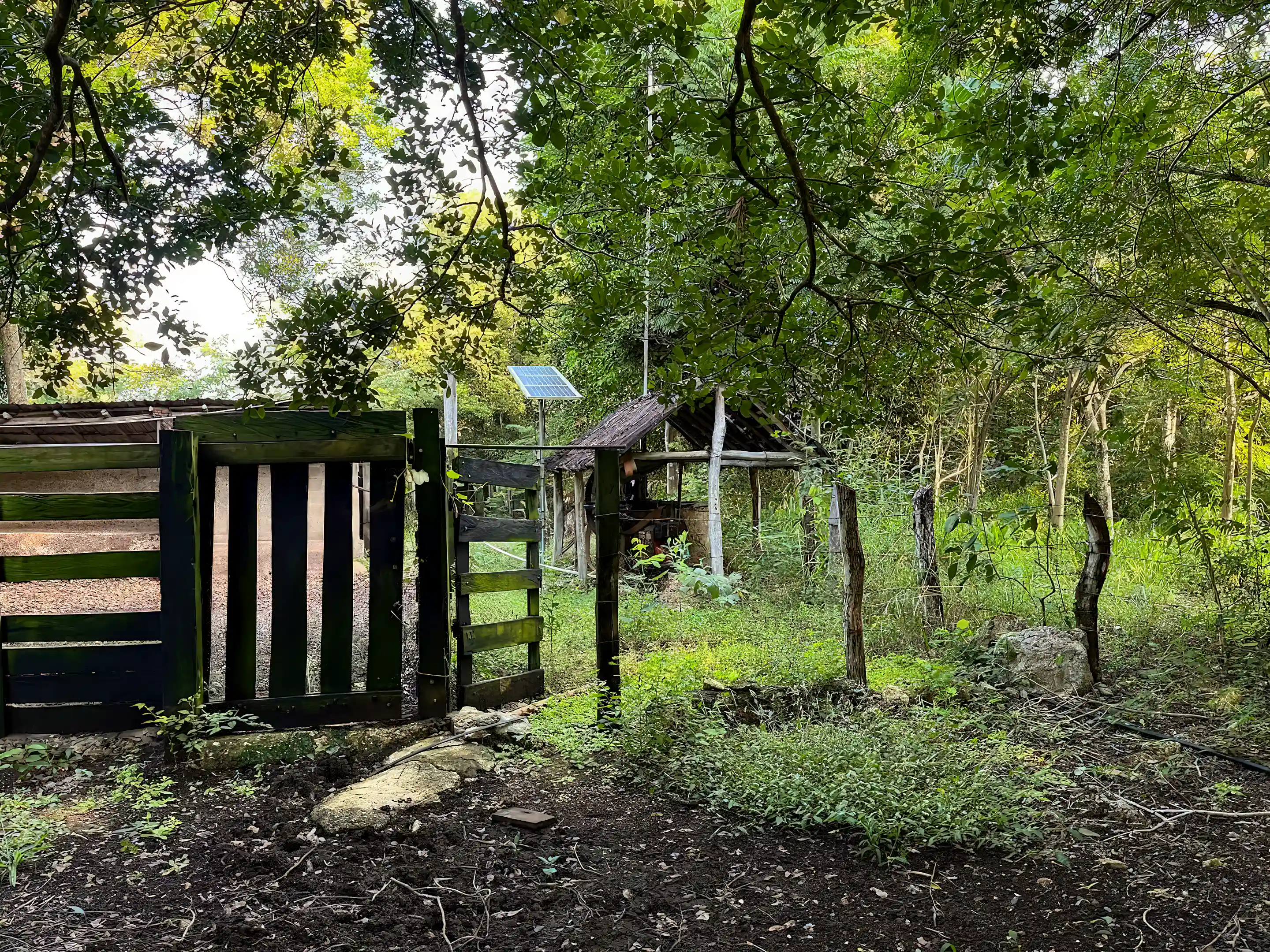 Off-Grid Homestead for Sale in Tekom, Valladolid, Yucatan, Mexico