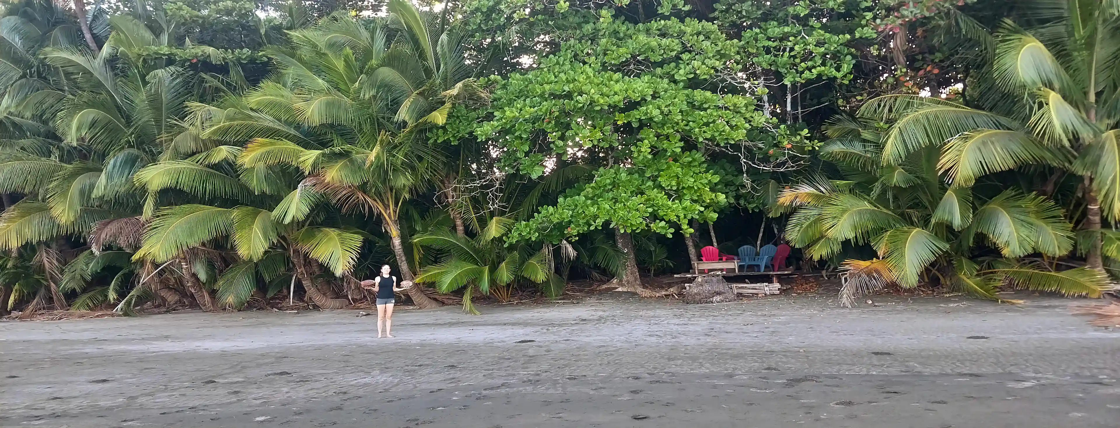 Beach House for Sale in Playa La Barra, Punta Duarte, Quebro, Mariato ...