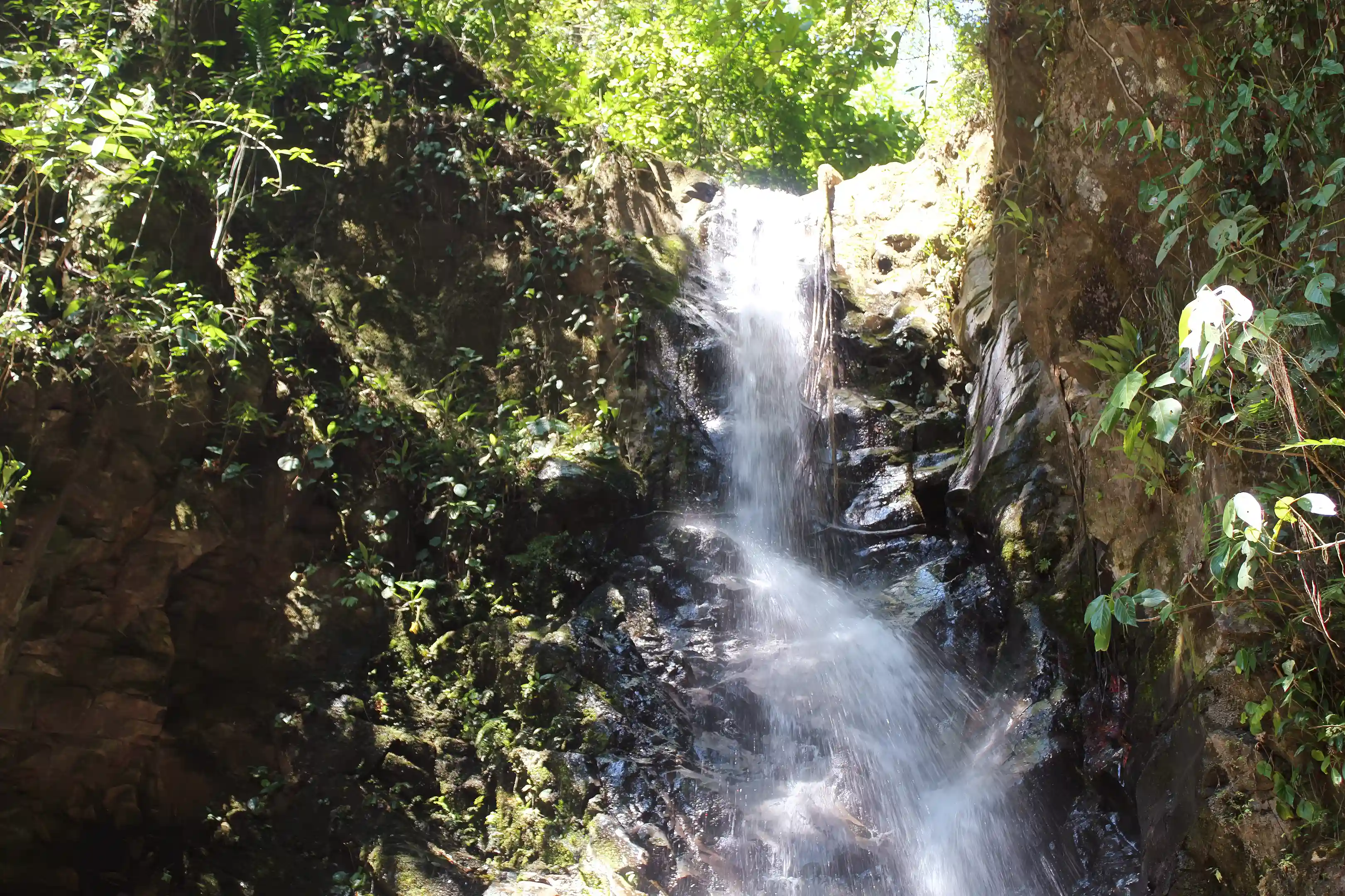 Mountain Farm for Sale in Potrerillos, Dolega, Chiriqui, Panama