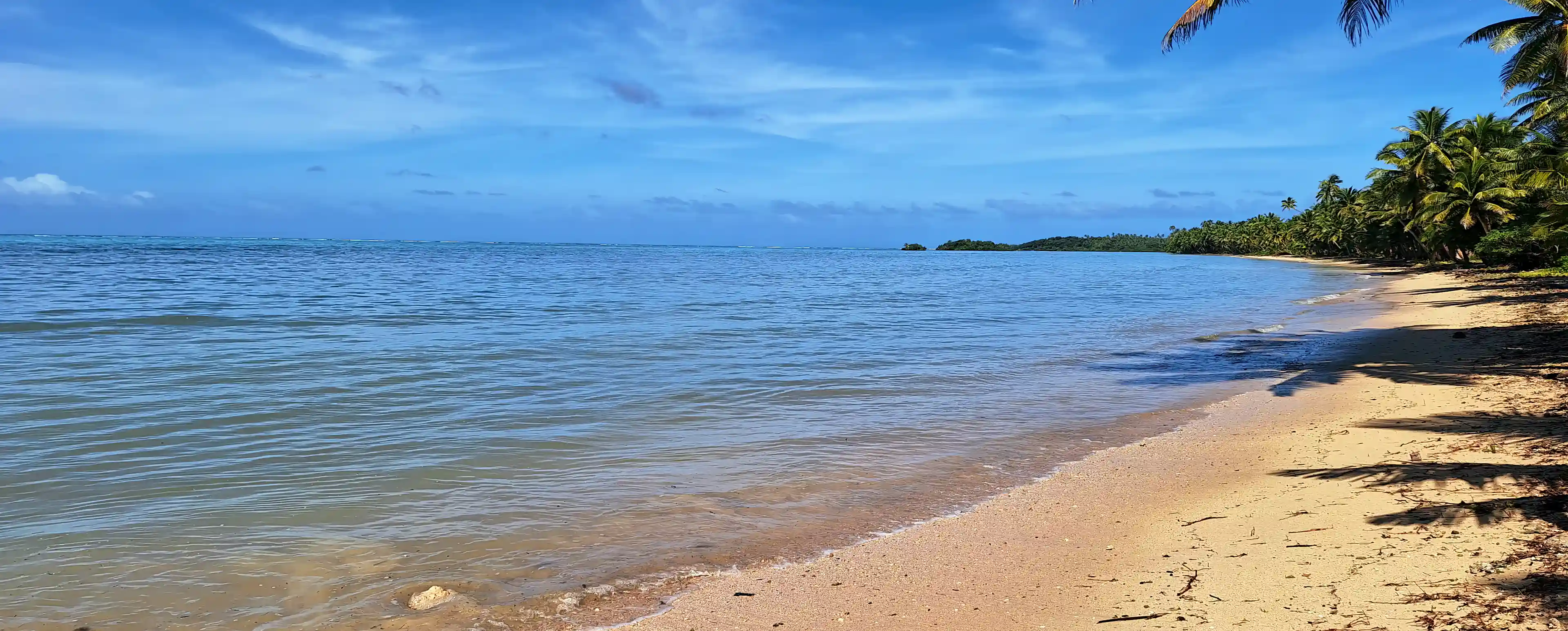 White Sand Beachfront for Sale in Hibiscus Highway, Levukalailai ...