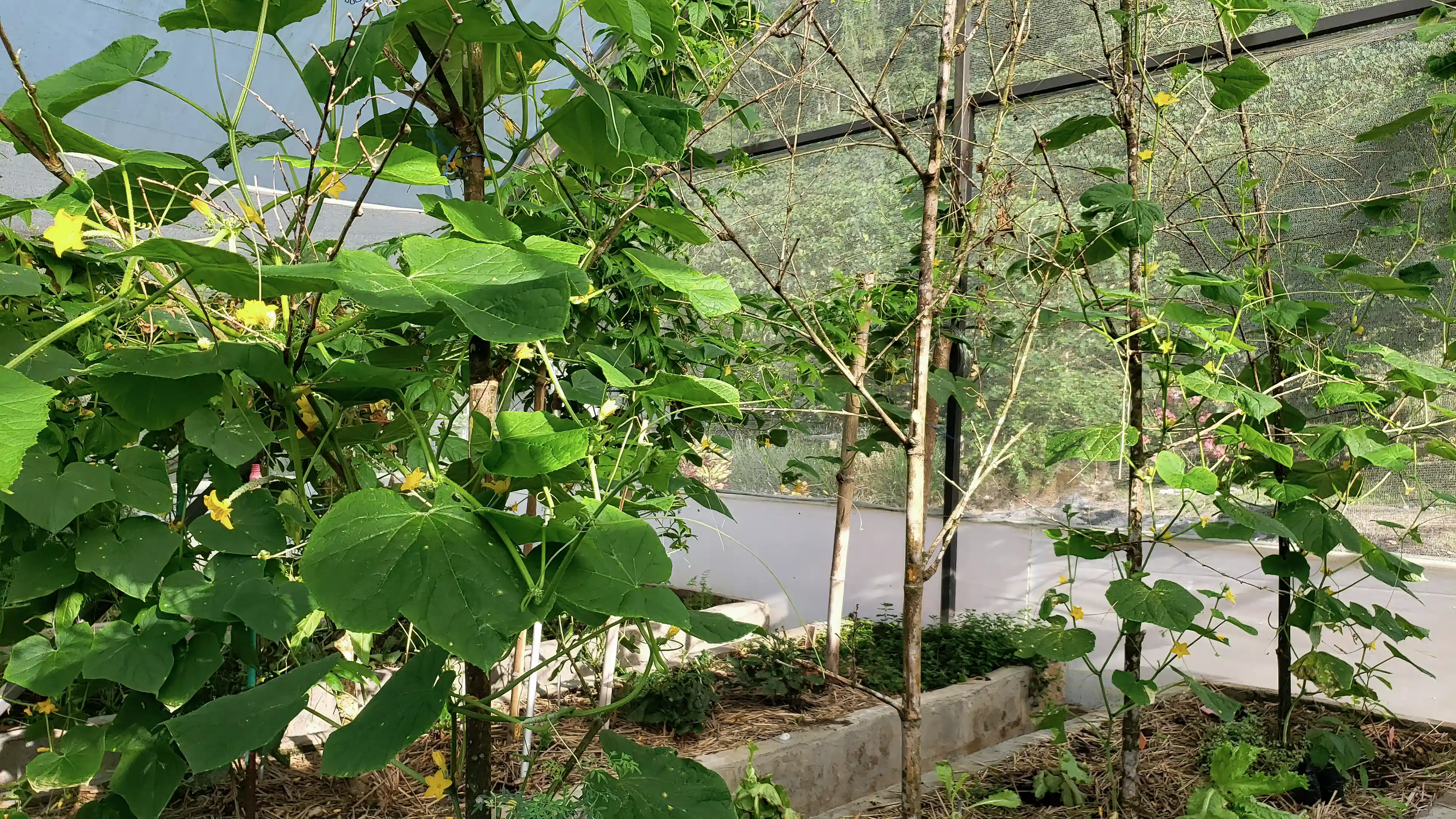 Farm/Ranch for Sale in San Sebastian, Pichincha, Manabi, Ecuador