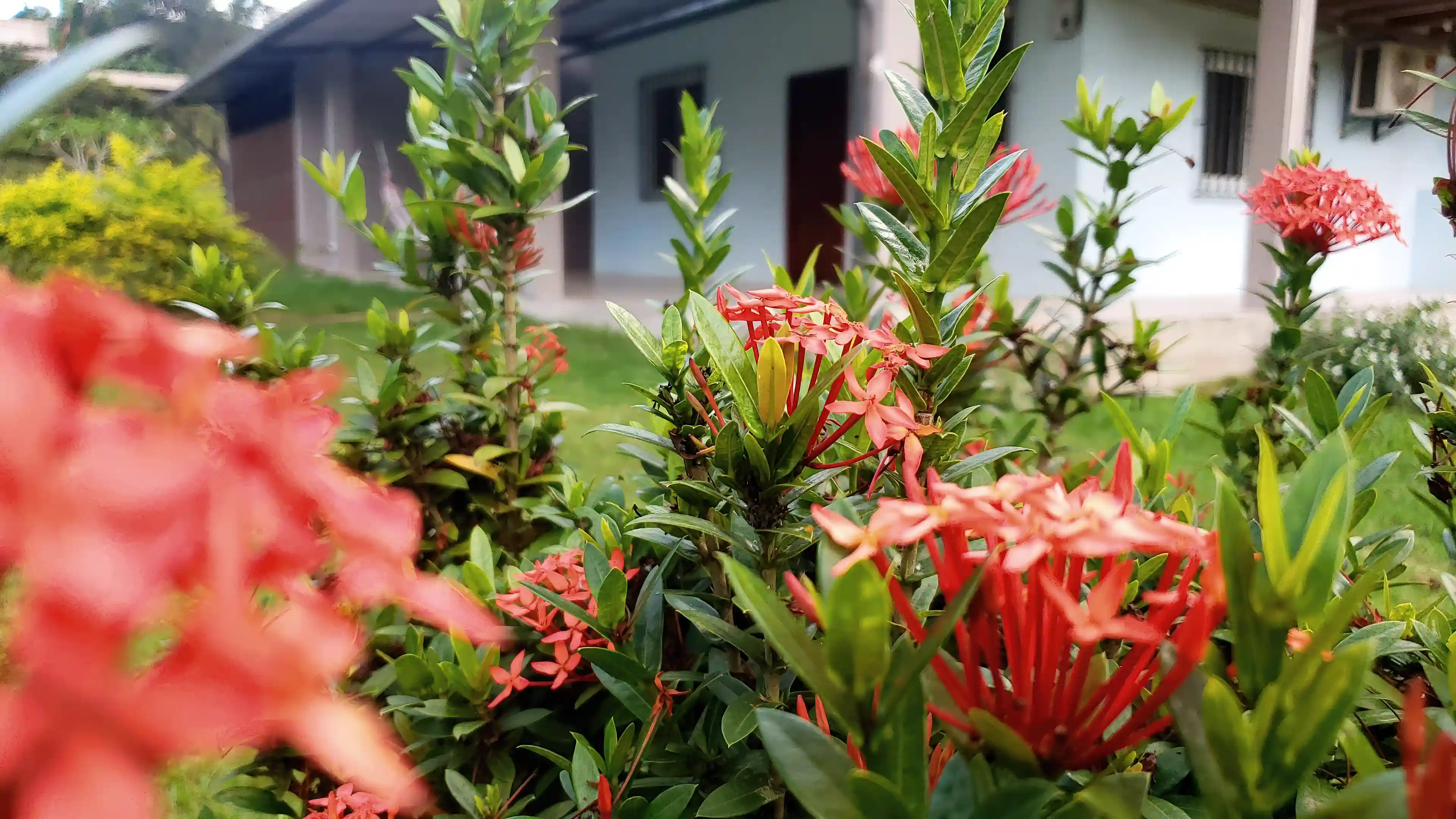 Farm/Ranch for Sale in San Sebastian, Pichincha, Manabi, Ecuador