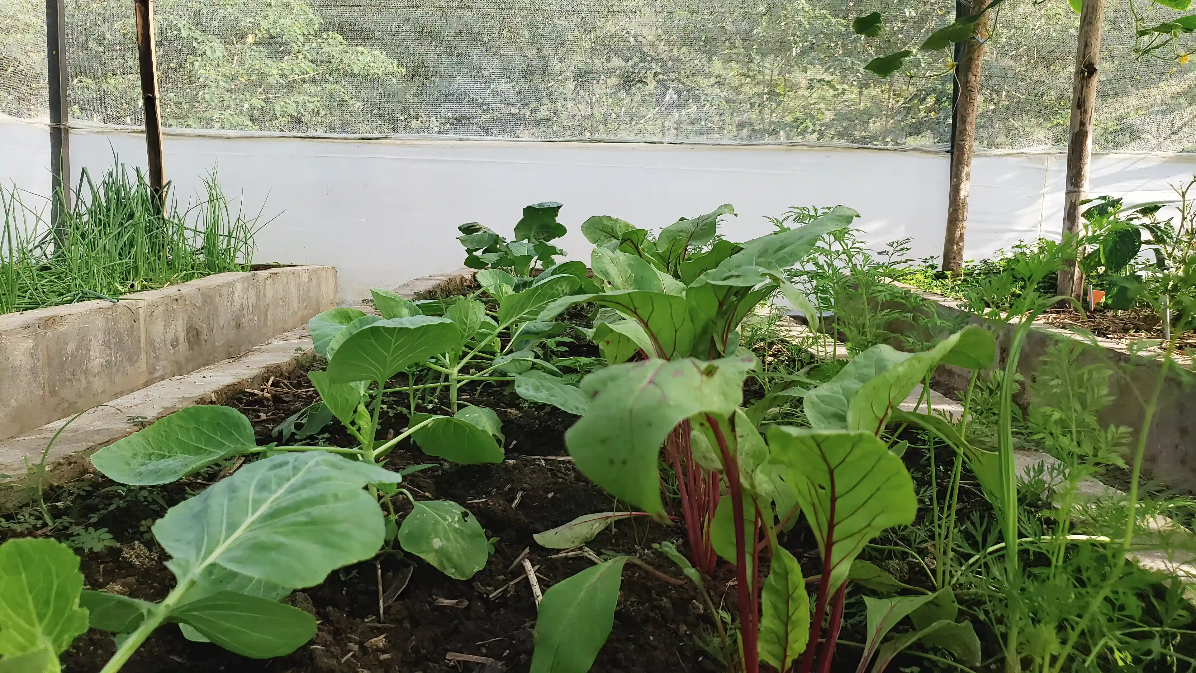 Farm/Ranch for Sale in San Sebastian, Pichincha, Manabi, Ecuador