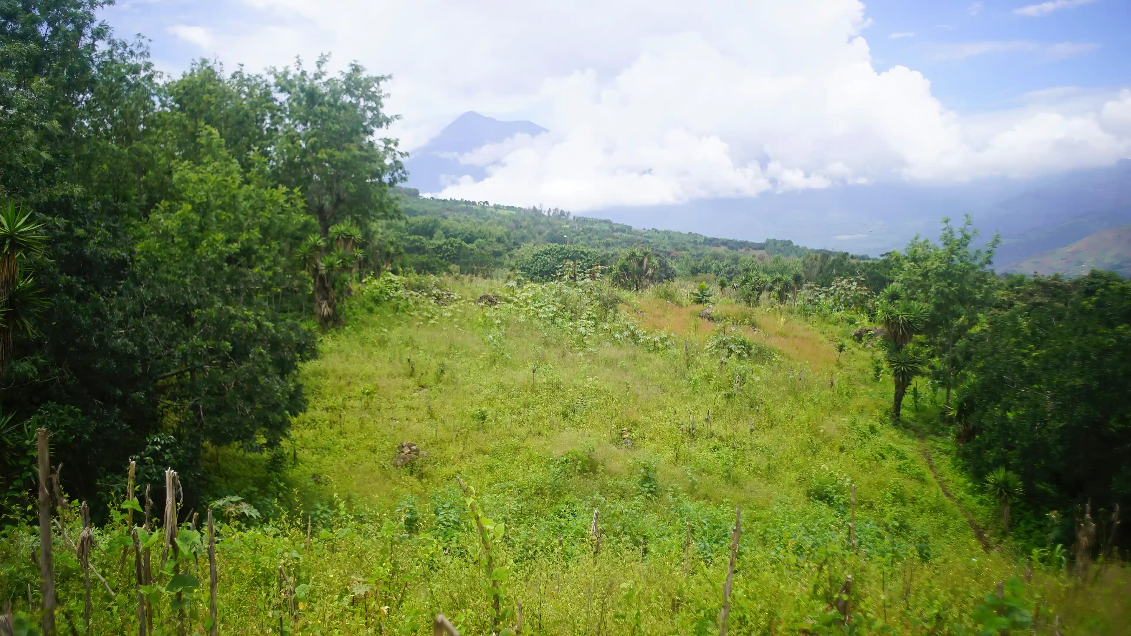 Farmland for Sale in Antigua Guatemala, Sacatepequez, Guatemala