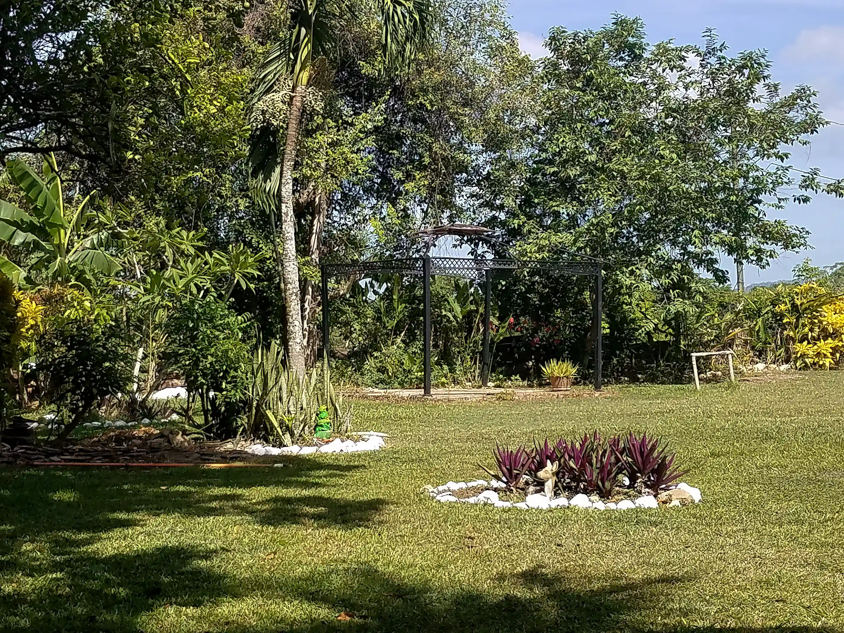 Country Home for Sale in Bullet Tree, San Jorge, Cayo, Belize