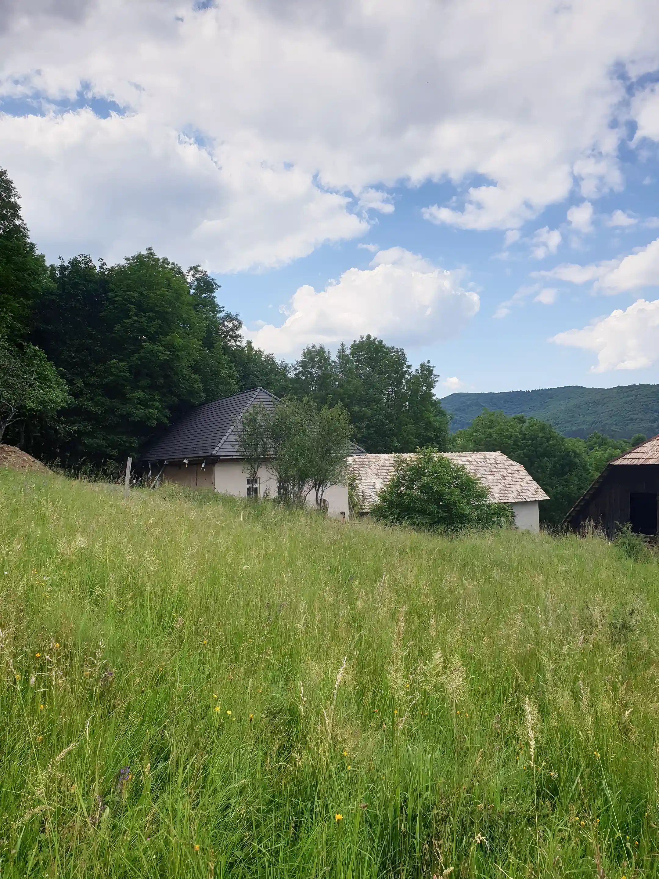 Rural Settlement/Hamlet for Sale in Horny Tisovnik, Detva, Banska ...