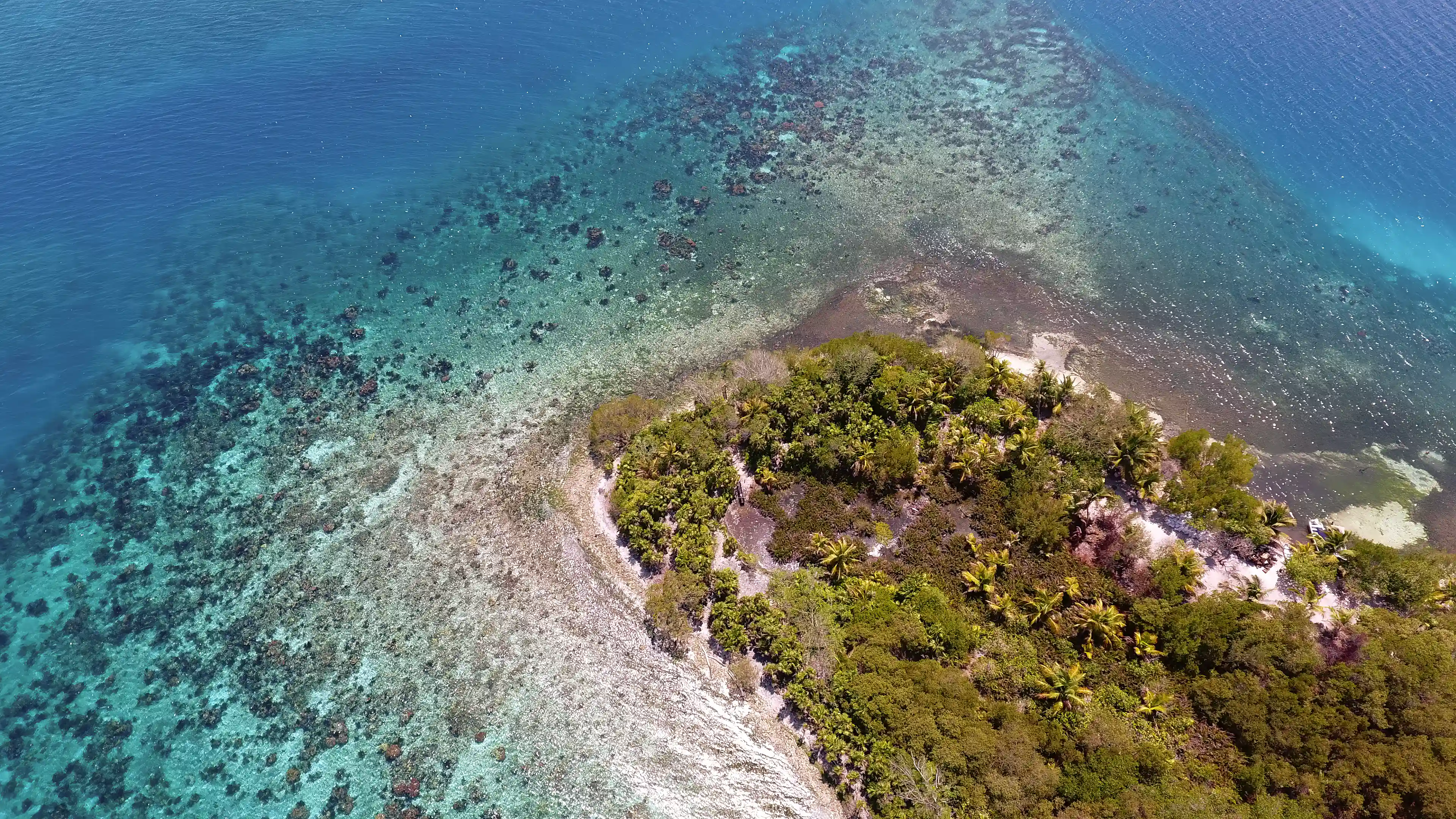 Island for Sale in Scipio Caye, Placencia Peninsula, Stann Creek, Belize
