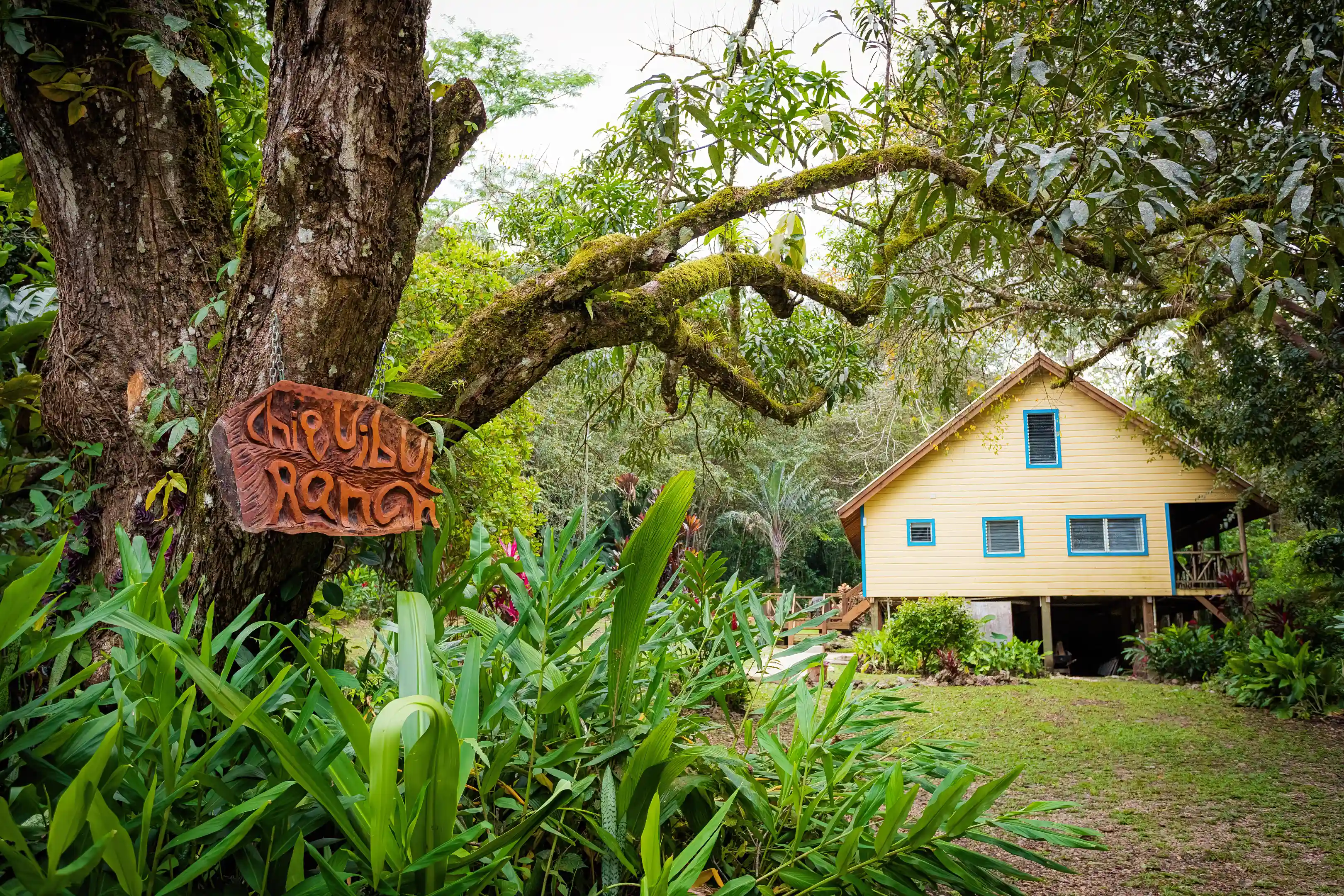 100-Acre Tropical Ranch for Sale in 7 Mile Village, Mountain Pine Ridge ...