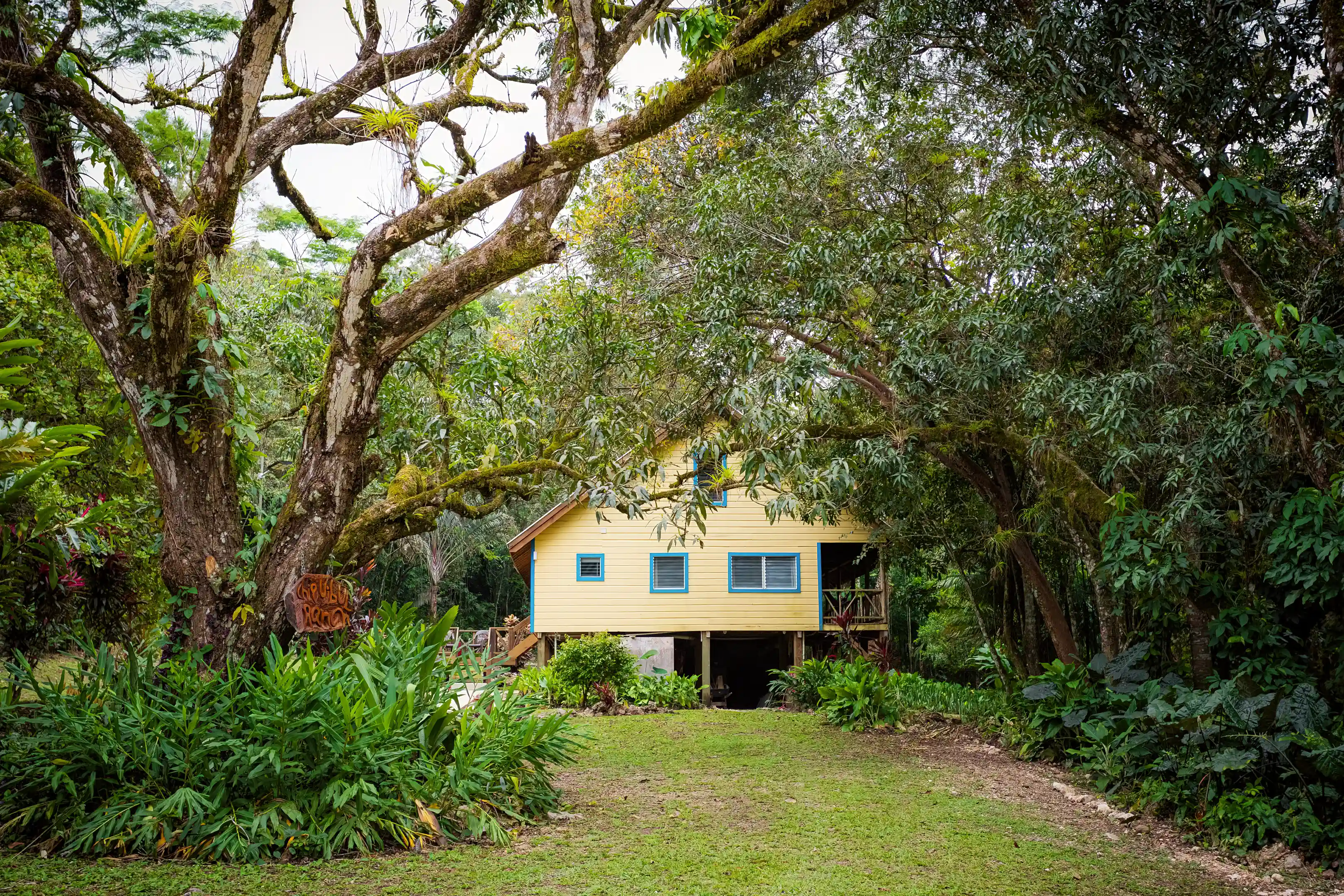 100-Acre Tropical Ranch for Sale in 7 Mile Village, Mountain Pine Ridge ...