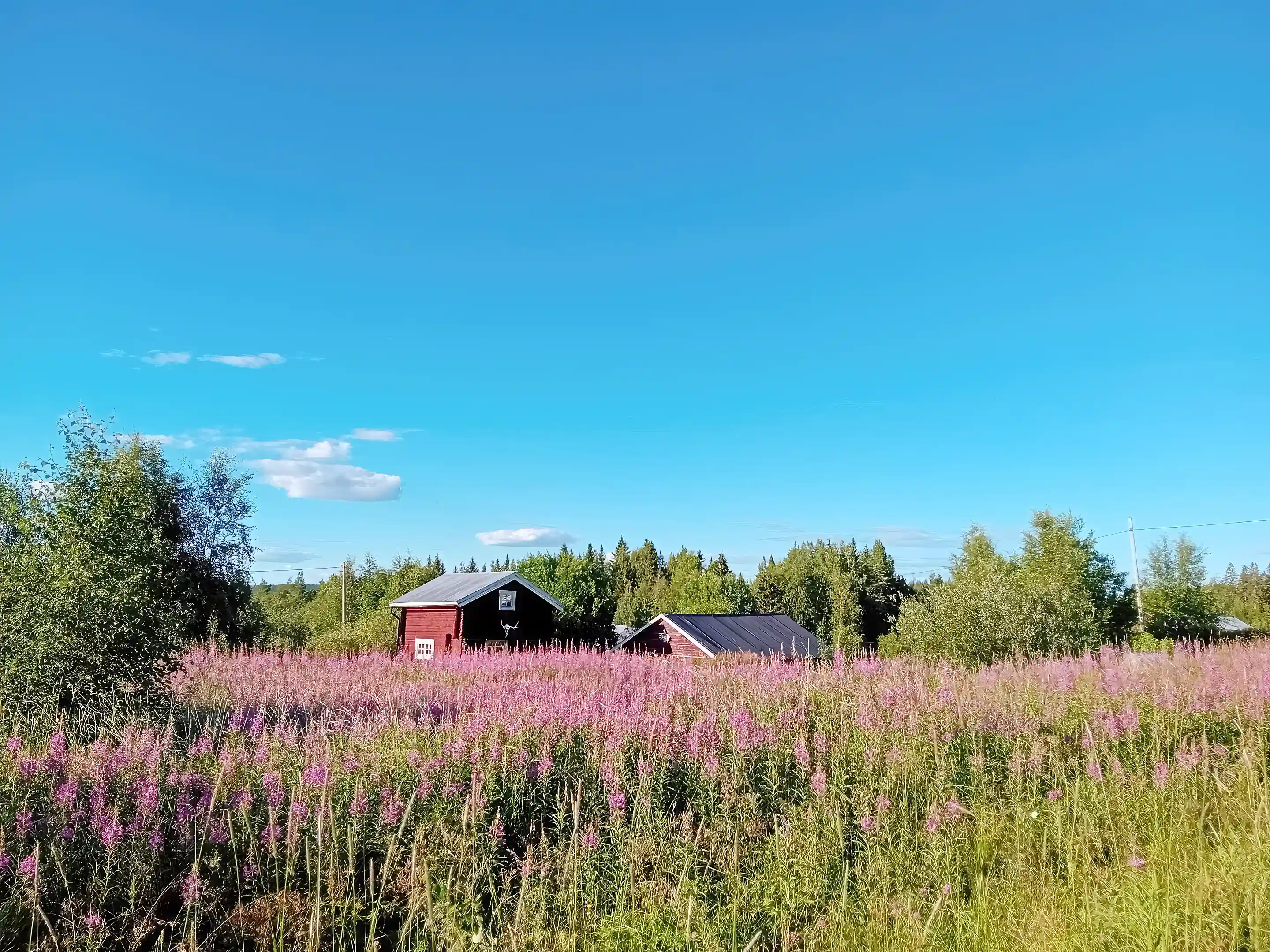 Farm for Sale in Lomsjö 204, Asele, Vaesterbotten, Sweden
