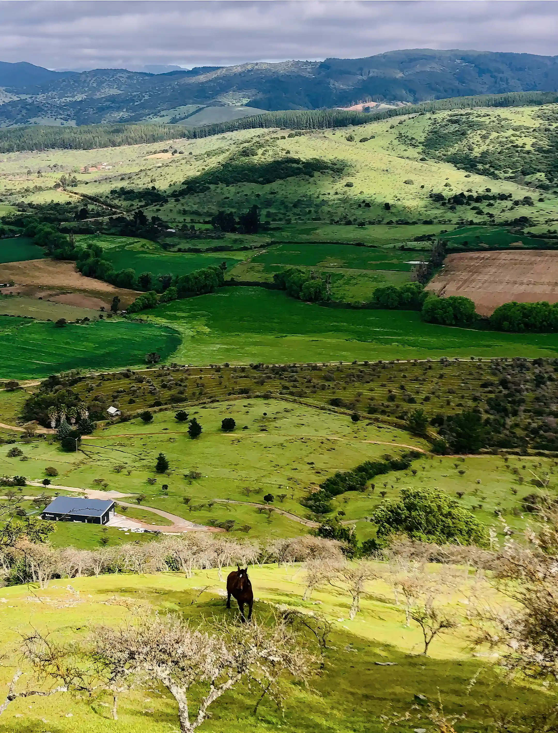 Small Farm Lot for Sale in Pencahue, Talca, Maule, Chile