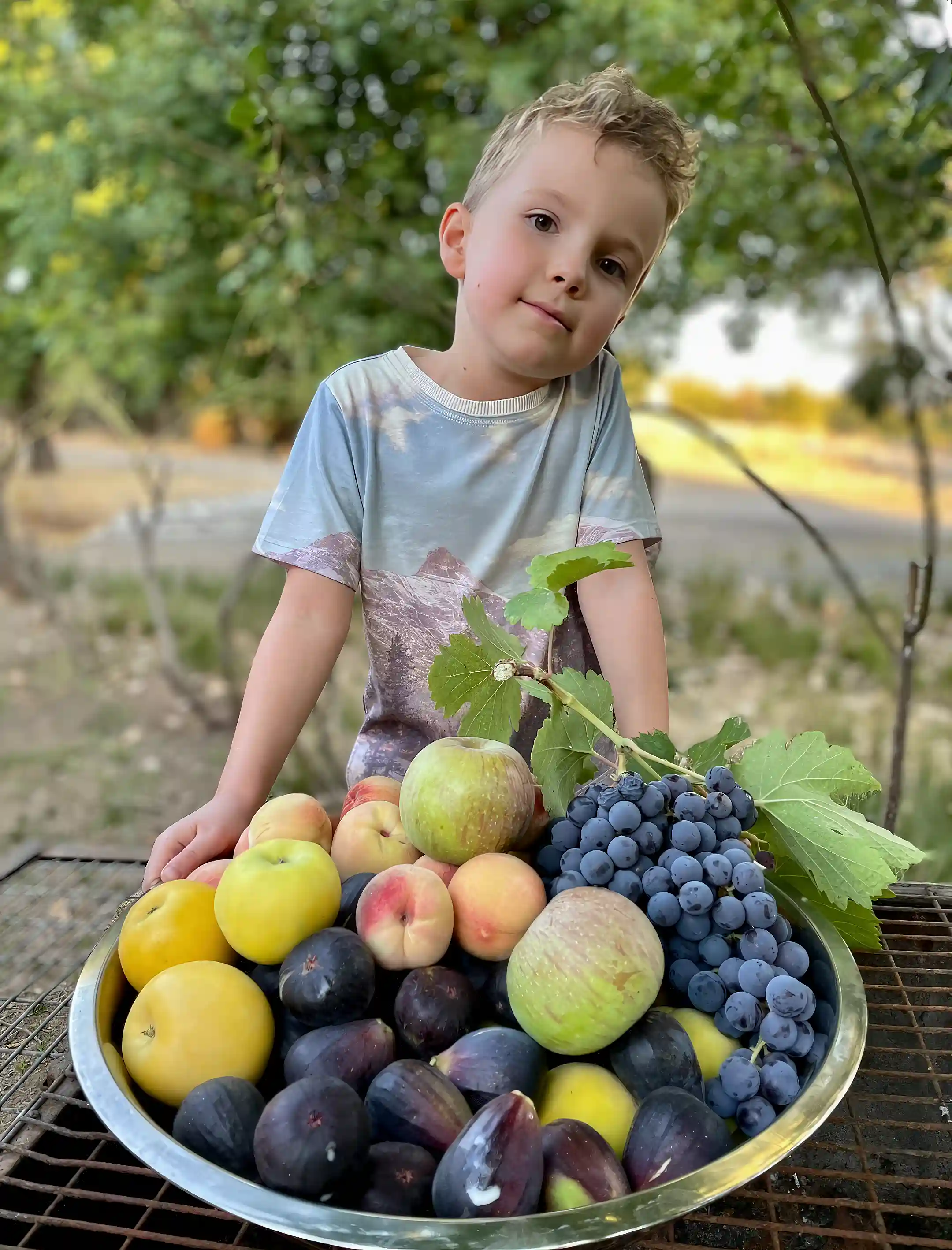 Small Farm Lot for Sale in Patagonia Farms, Tapihue Valley, Pencahue ...