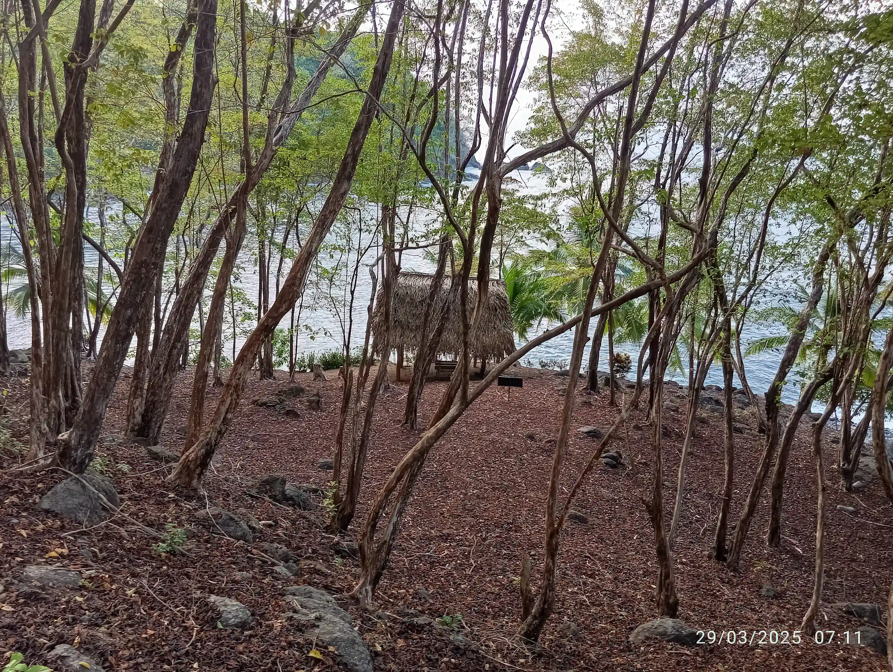 Beachfront Lot for Sale in Quebrada De Piedra, Morro Negrito, Tole ...