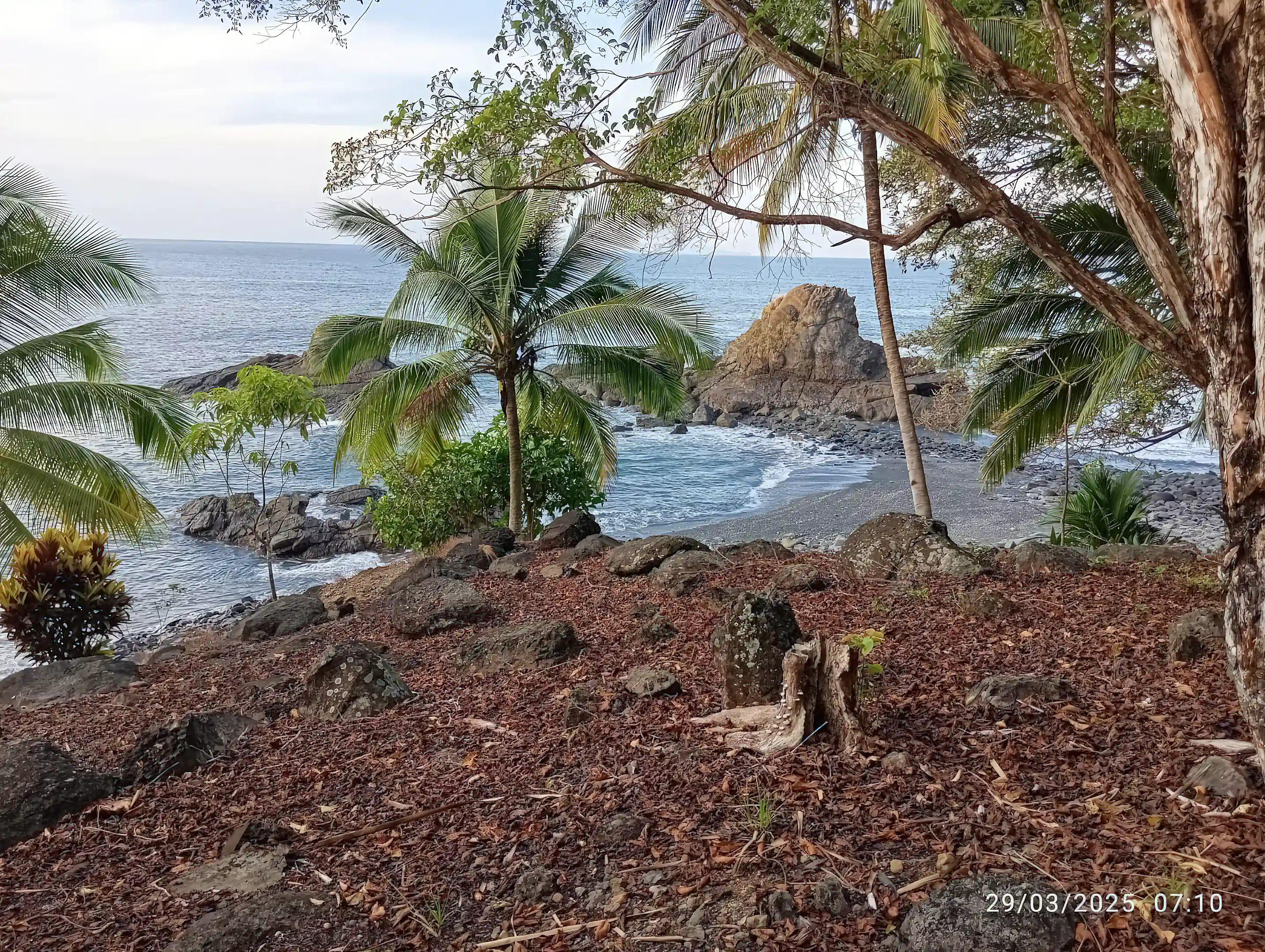 Beachfront Lot for Sale in Quebrada De Piedra, Morro Negrito, Tole ...