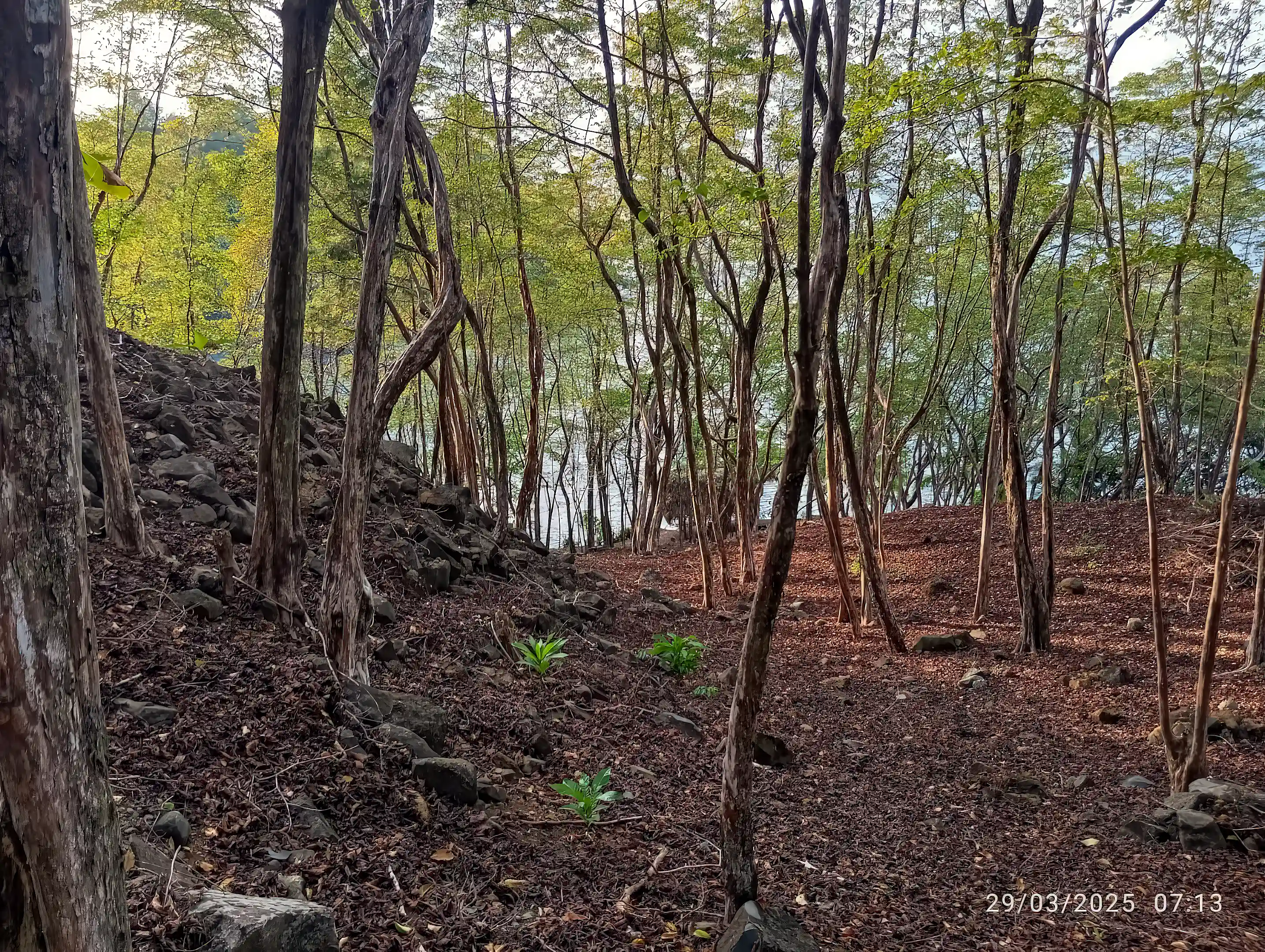 Beachfront Lot for Sale in Quebrada De Piedra, Morro Negrito, Tole ...