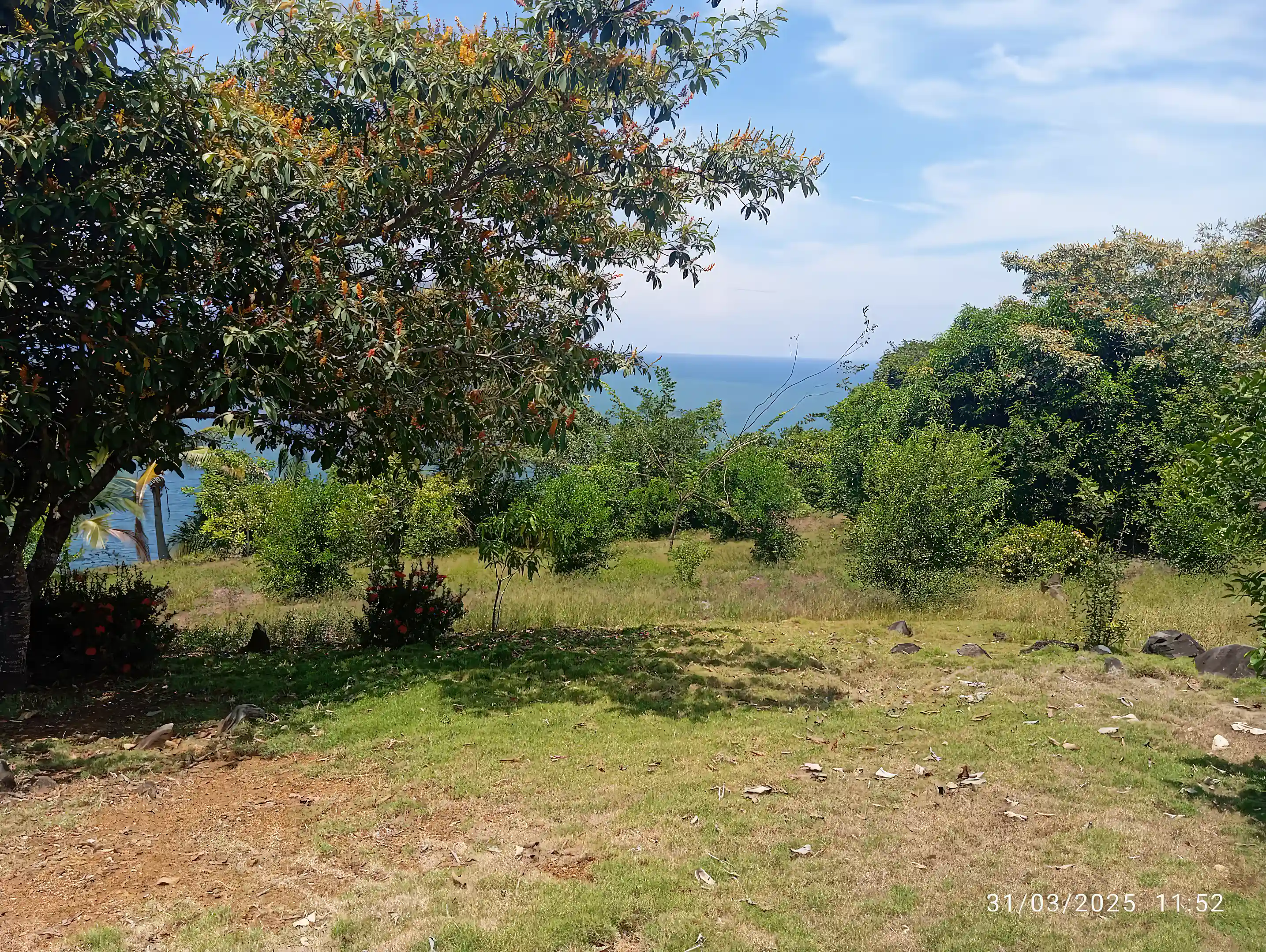 Beachfront Lot for Sale in Quebrada De Piedra, Morro Negrito, Tole ...