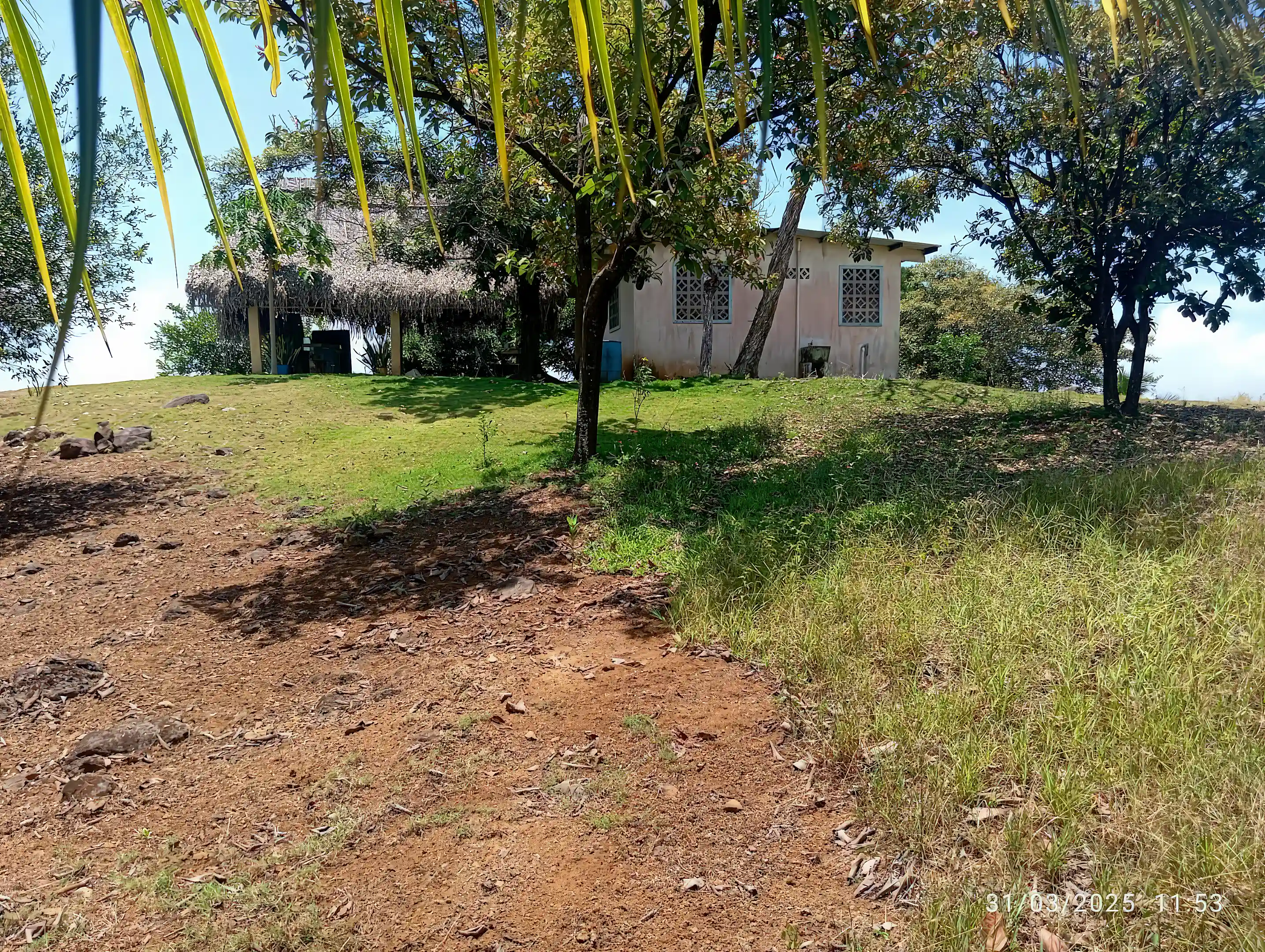 Beachfront Lot for Sale in Quebrada De Piedra, Morro Negrito, Tole ...
