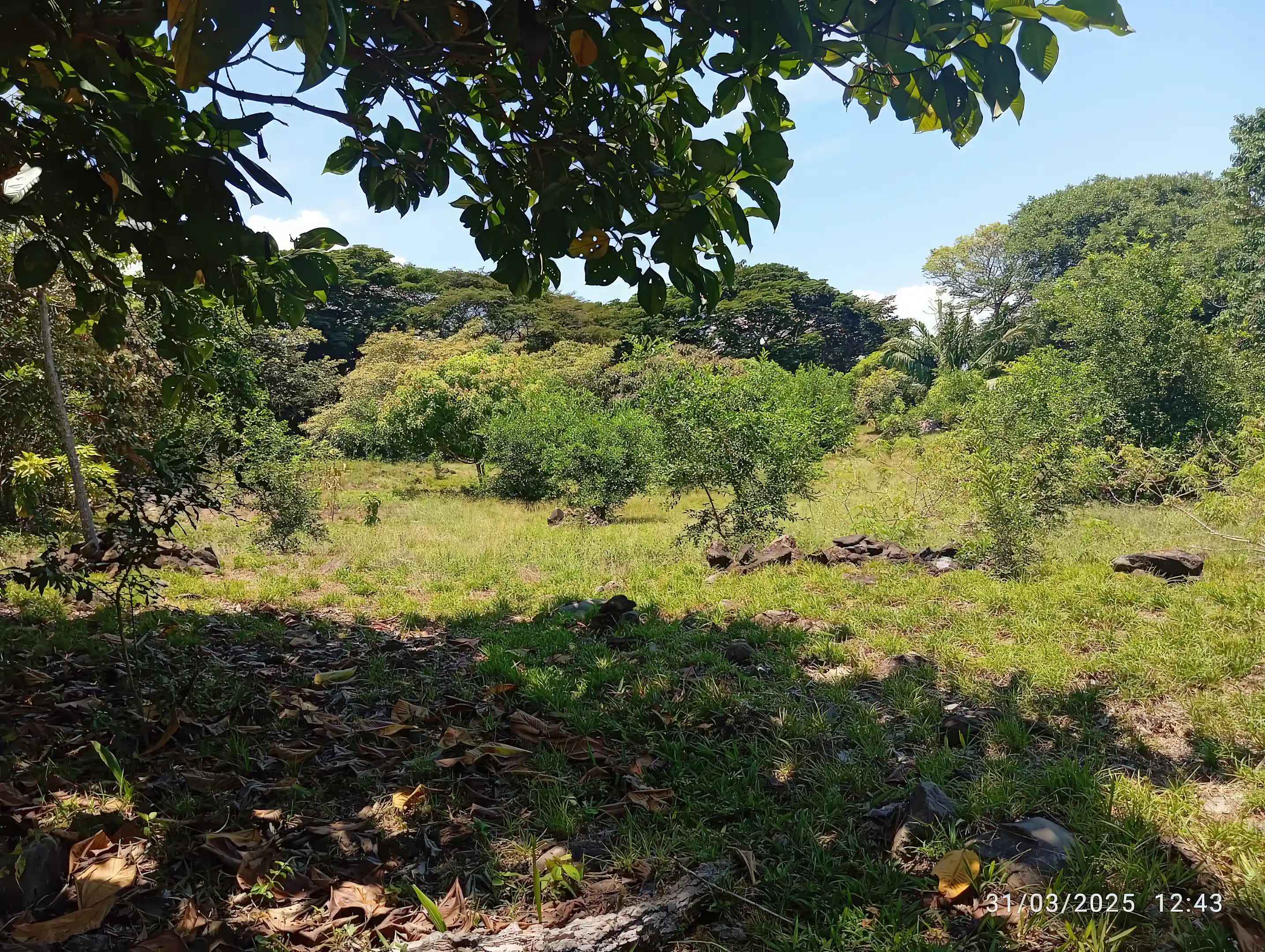 Beachfront Lot for Sale in Quebrada De Piedra, Morro Negrito, Tole ...
