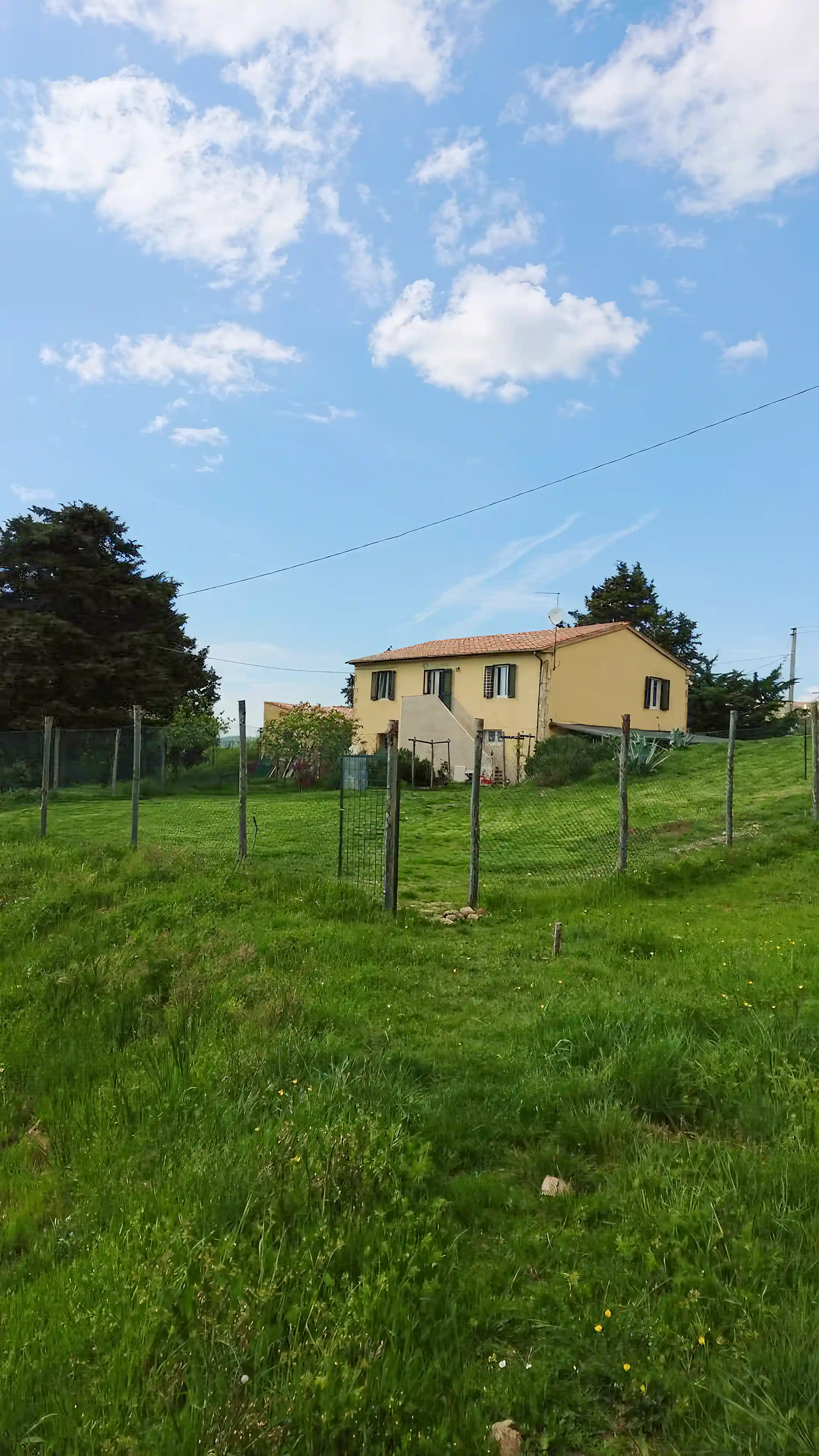 Olive Oil Farm for Sale in Serrazzano, Pomarance, Pisa, Tuscany, Italy