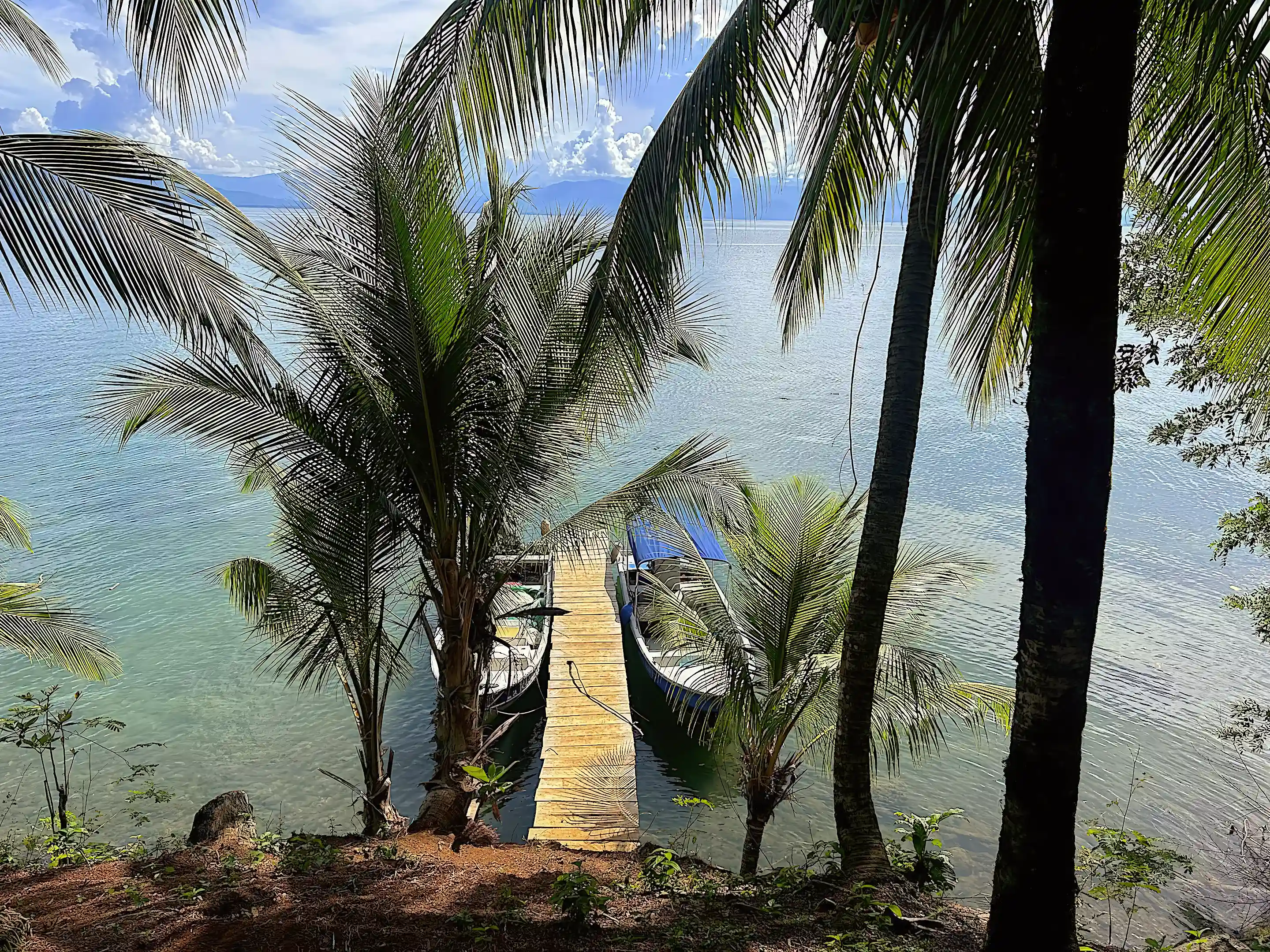 Island Home for Sale in Punta Laurel Sur, Punta Laurel, Bocas del Toro ...