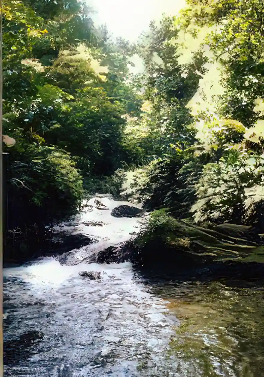 Hotel for Sale in The Peninsula of Pariah, Orients of the Country ...